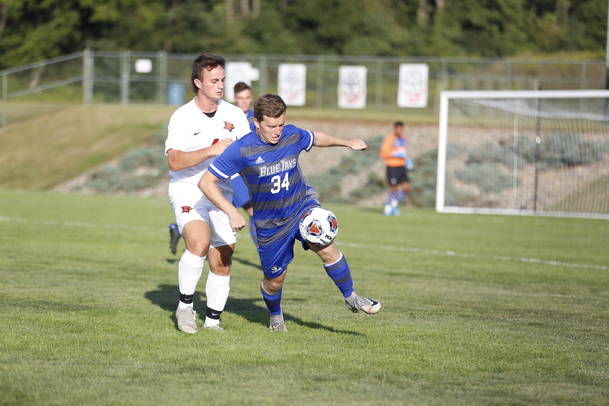 Will Connolly - Men's Soccer - Elizabethtown College Athletics