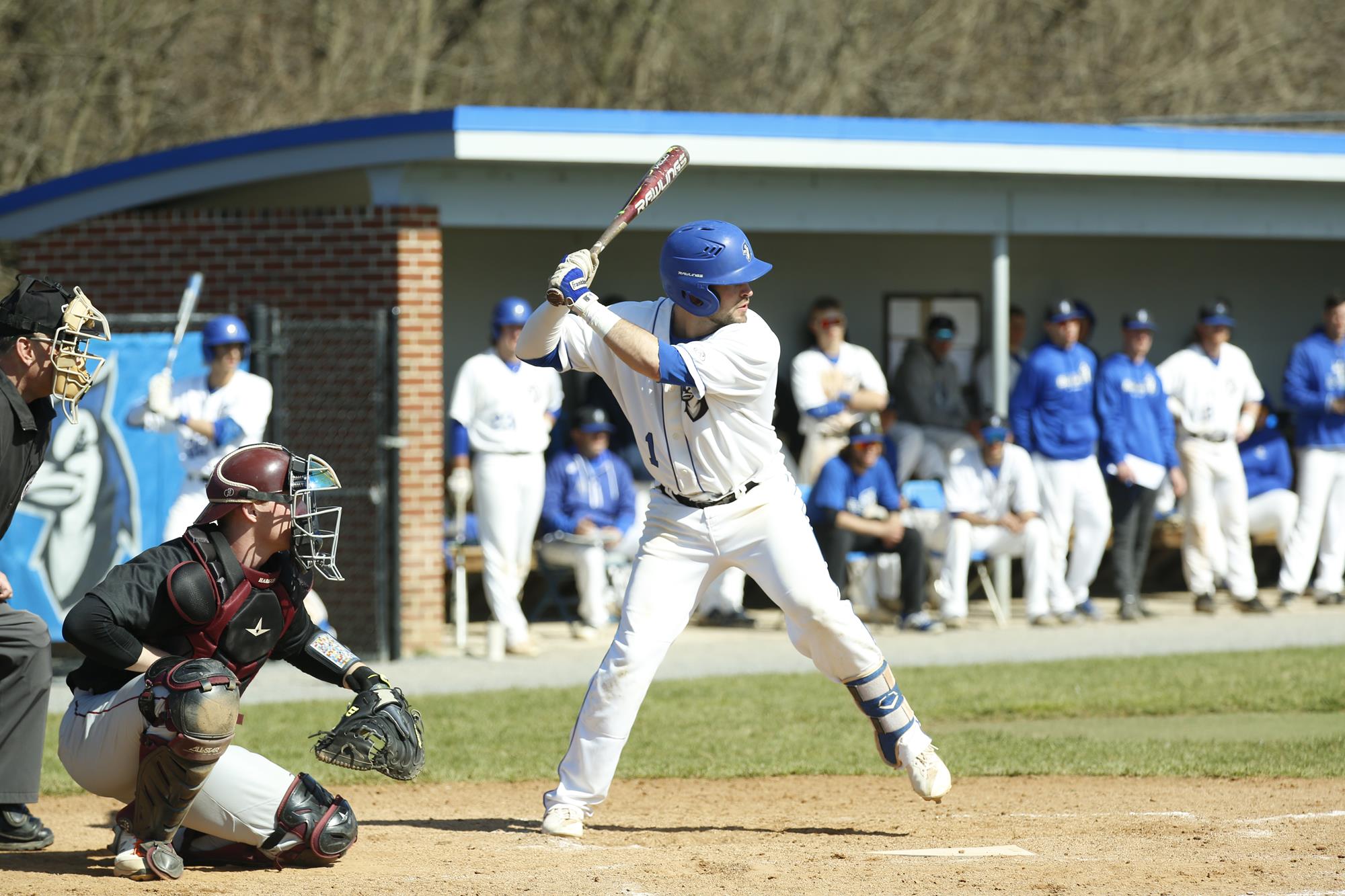Tyler McGonigle - Baseball - Elizabethtown College Athletics