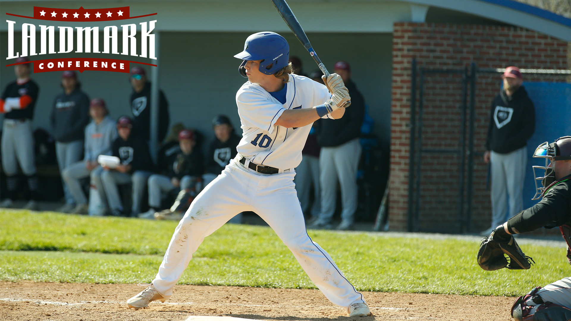 Ben Watson - Baseball - Elizabethtown College Athletics
