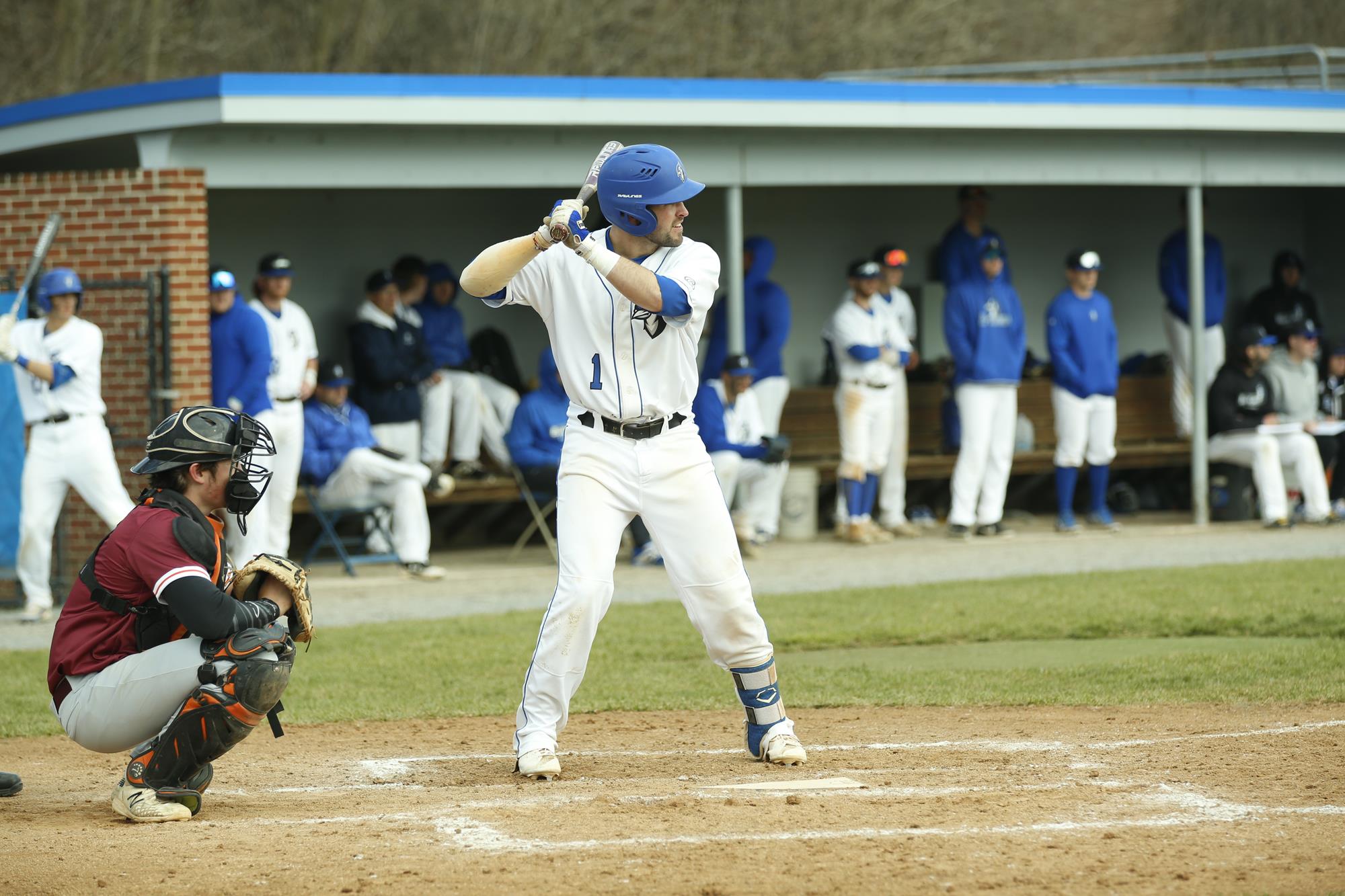 Tyler McGonigle - Baseball - Elizabethtown College Athletics