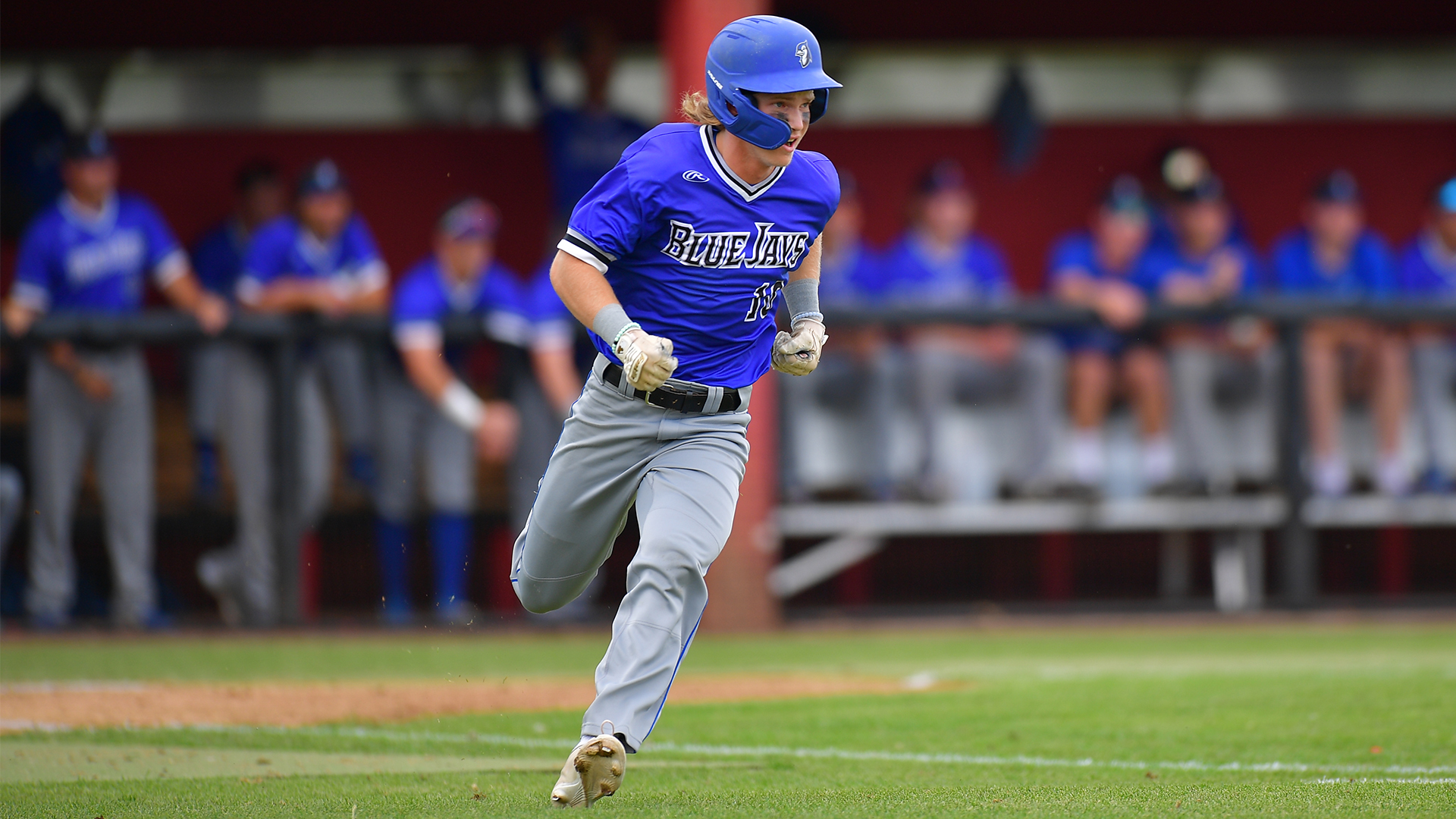 Ben Watson - Baseball - Elizabethtown College Athletics