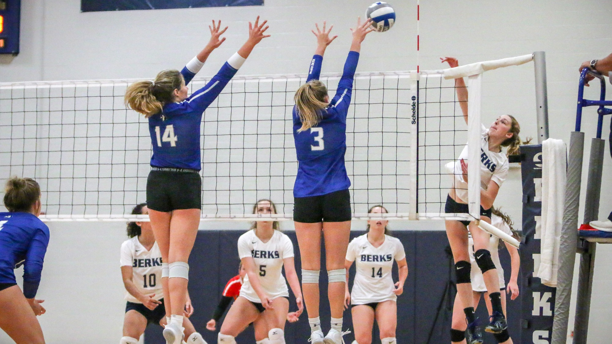 Katie Scaggs - Women's Volleyball - Elizabethtown College Athletics