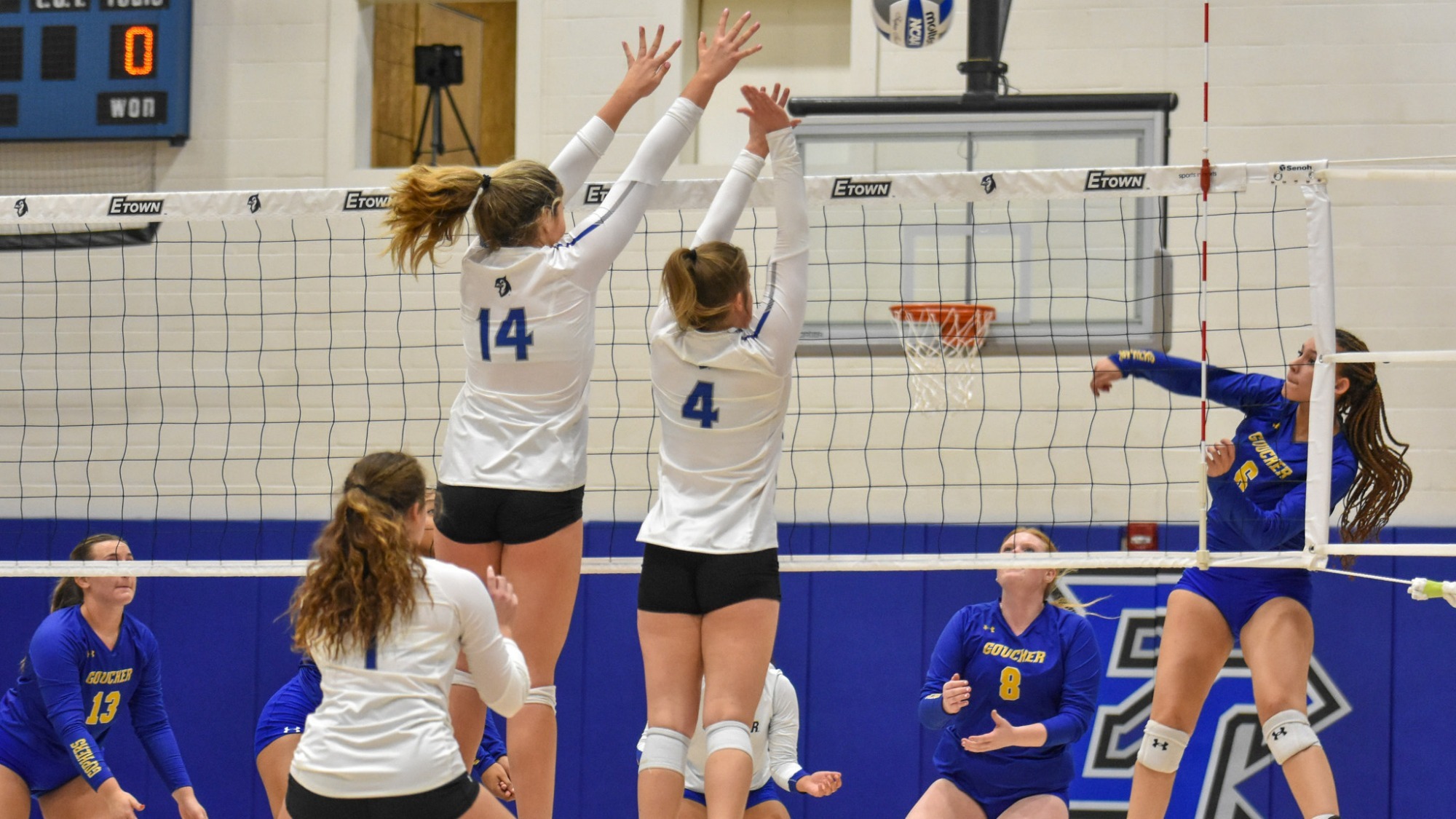 Katie Scaggs - Women's Volleyball - Elizabethtown College Athletics