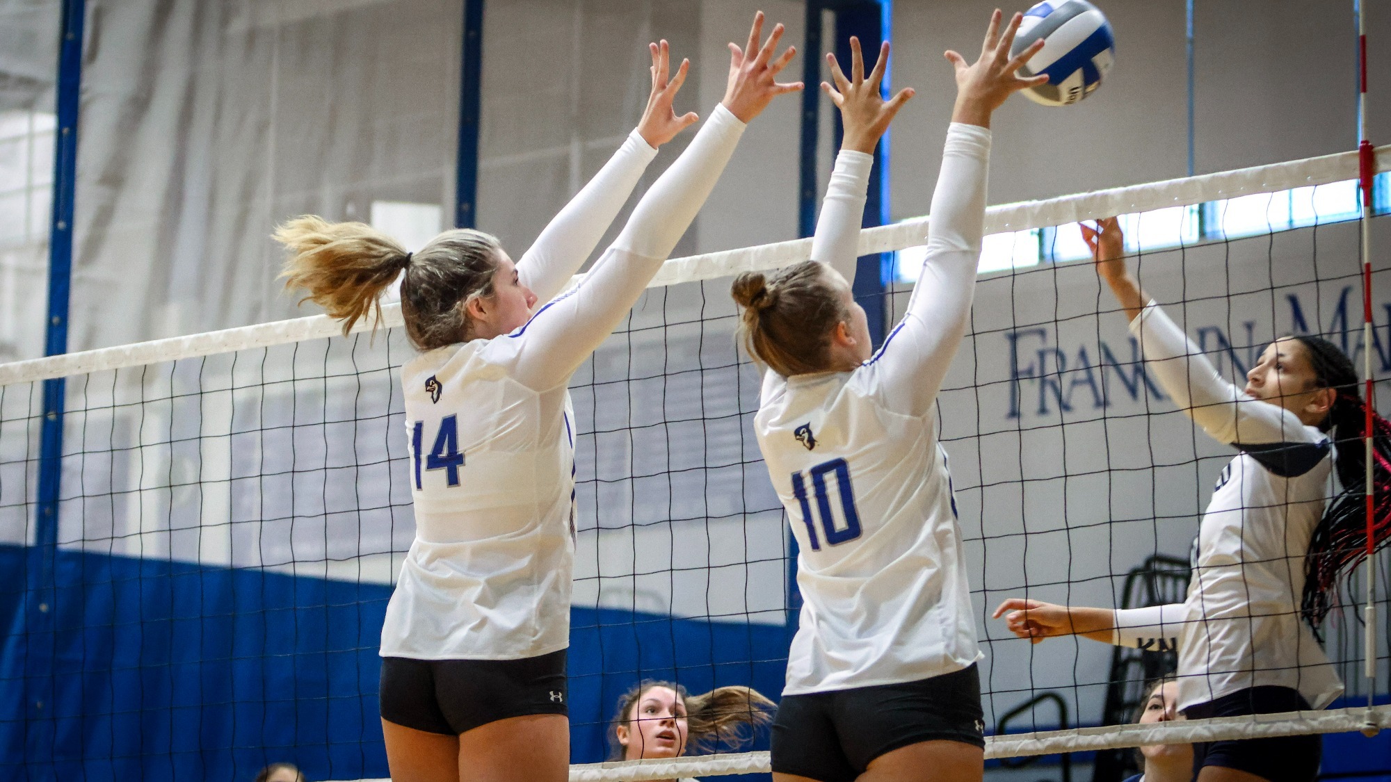 Katie Scaggs - Women's Volleyball - Elizabethtown College Athletics