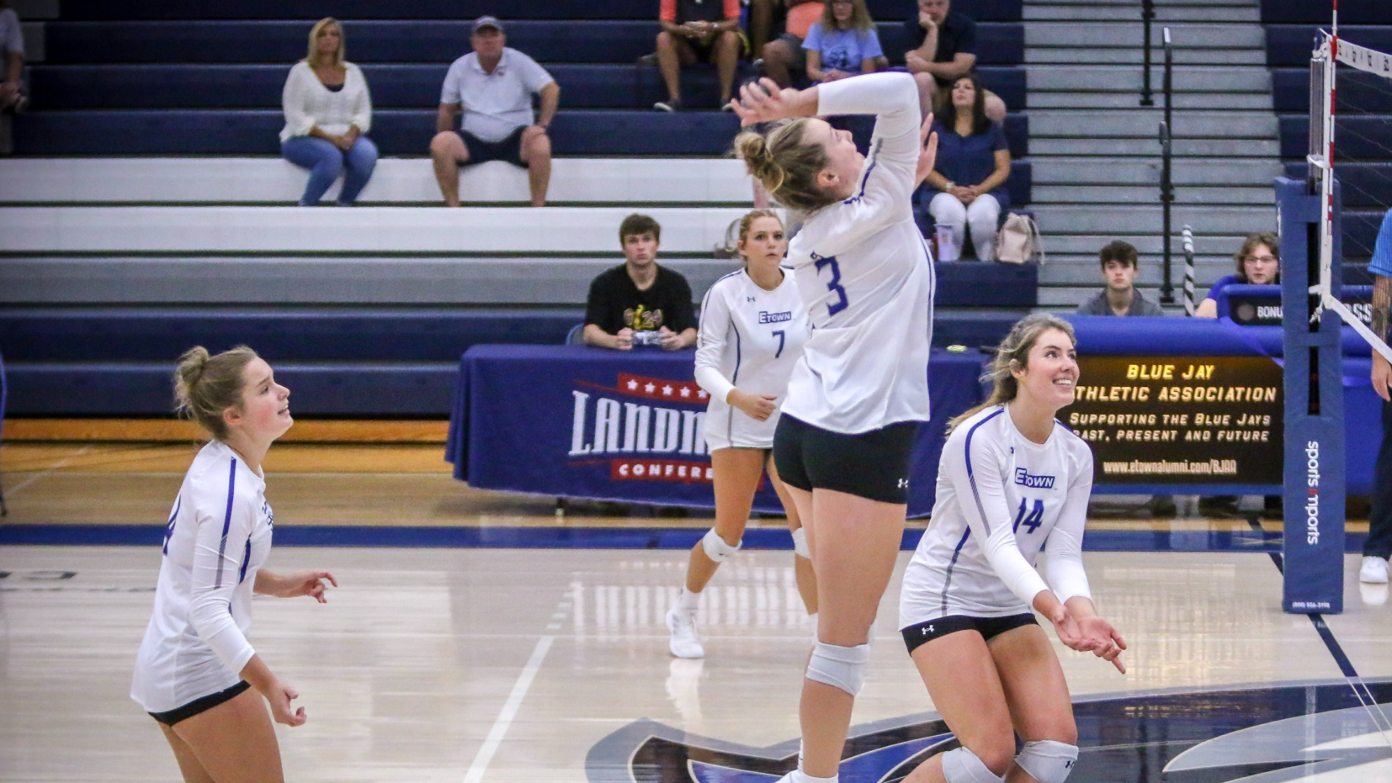 Blue Jays Drop Two at F&M Invitational - Elizabethtown College Athletics