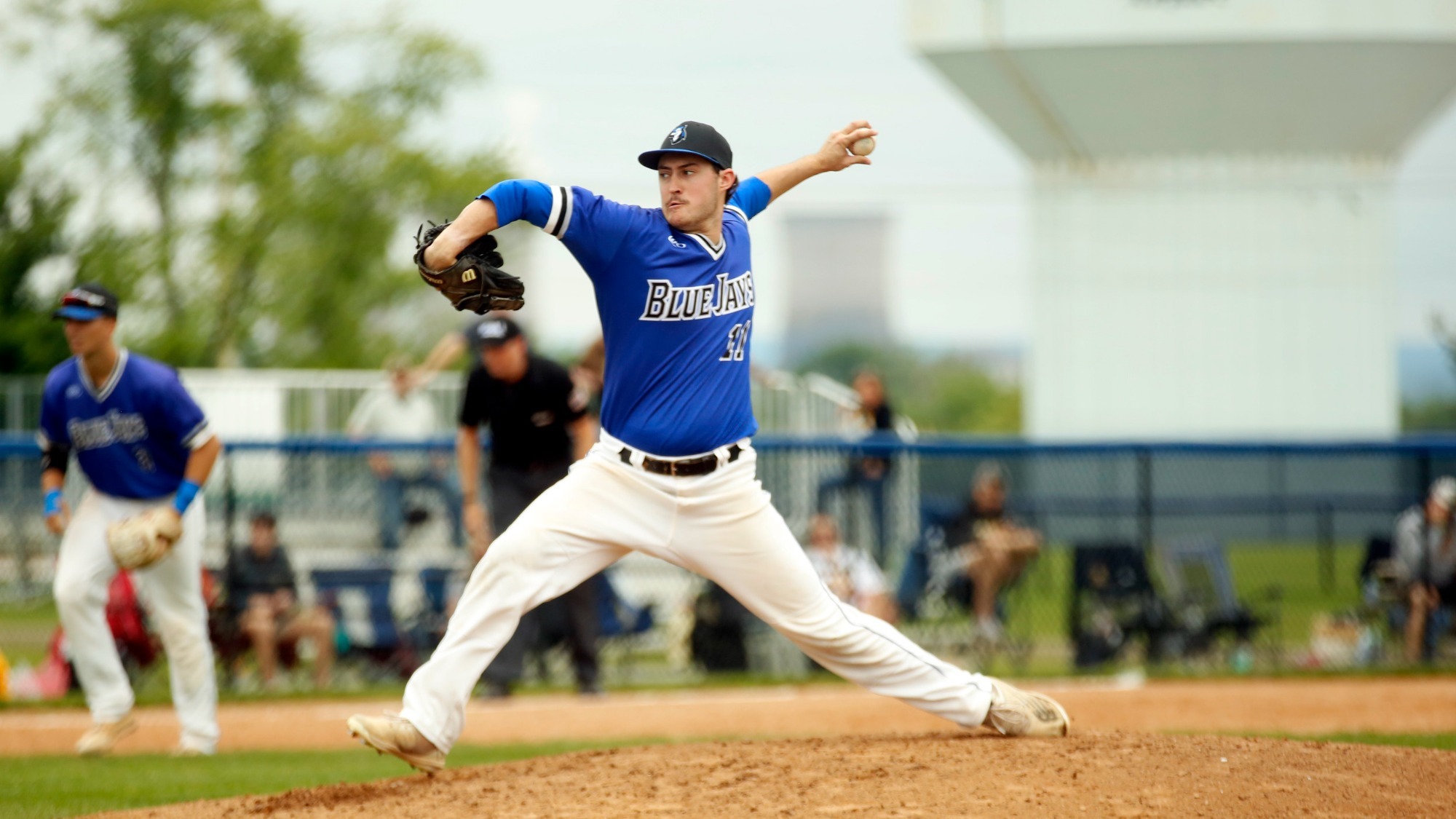 Blue Jays Fall to Randolph-Macon in NCAA Regionals Opener ...