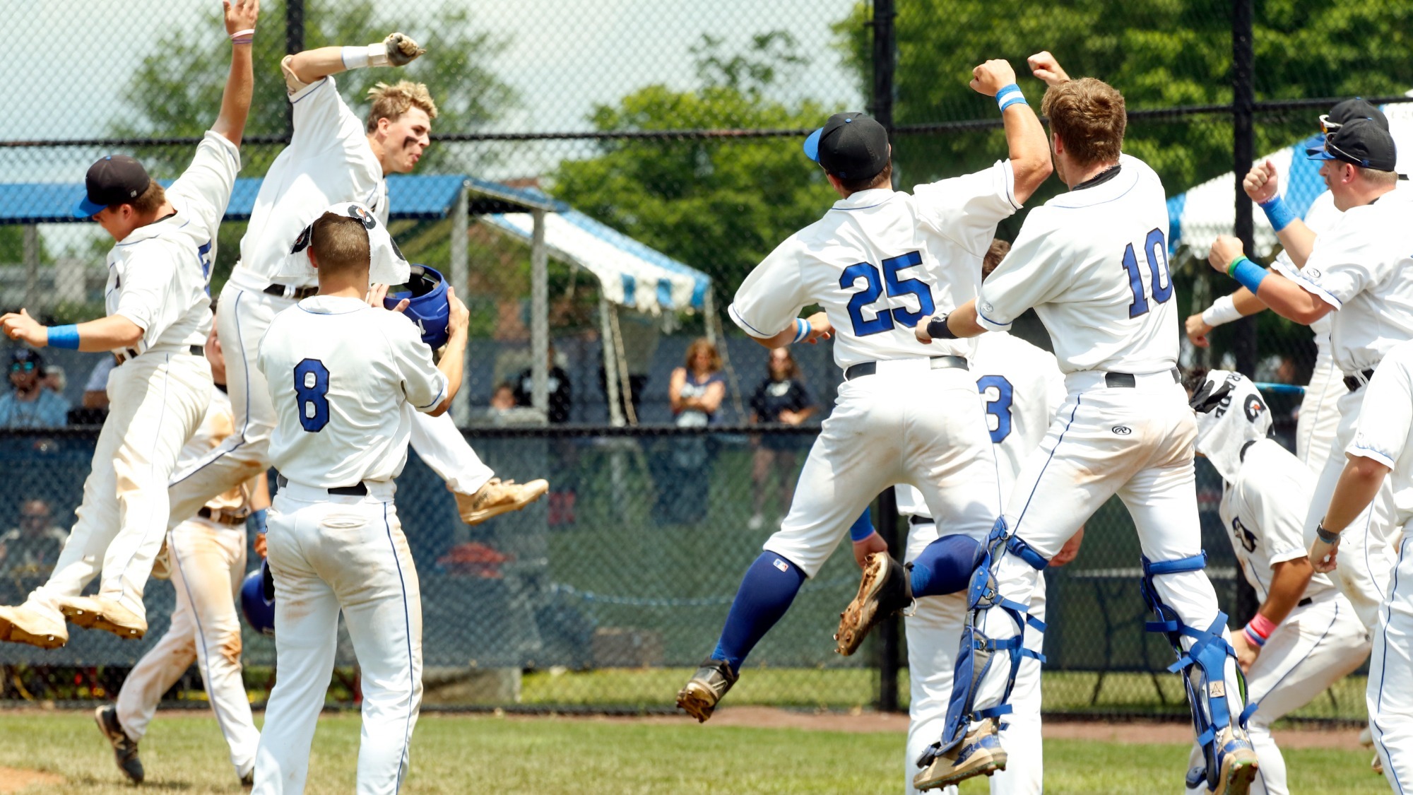 Blue Jays Advance to NCAA Regional Final, Fall to Randolph-Macon ...