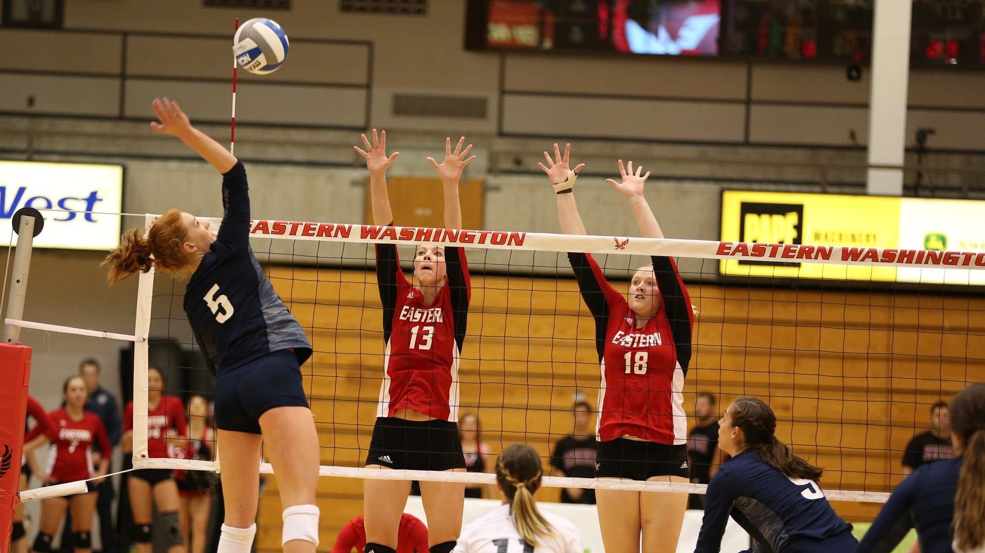 Taylor Larsen - 2018 - Women's Volleyball - Eastern Washington ...