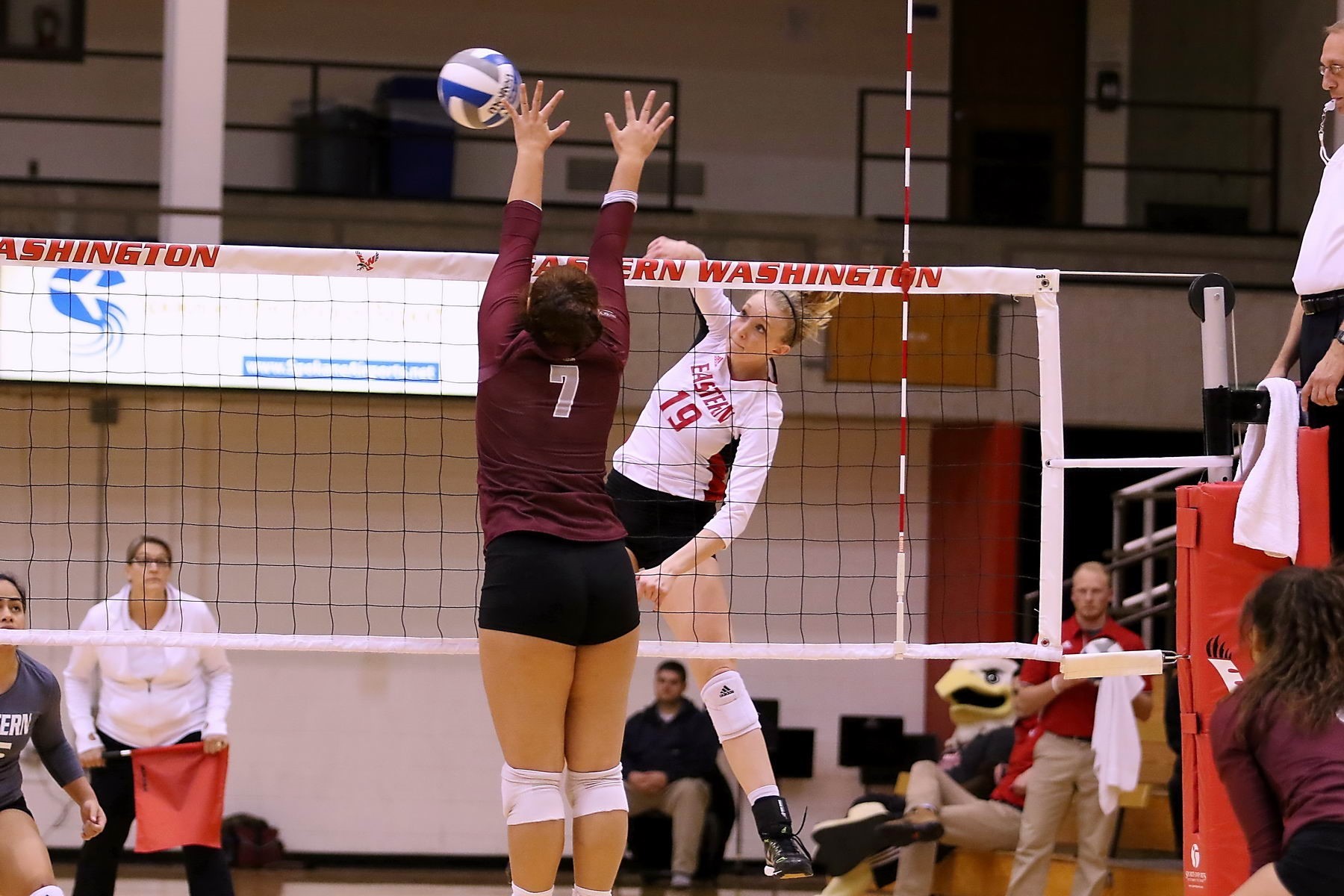 Ashley Seiler - 2017 - Women's Volleyball - Eastern Washington ...