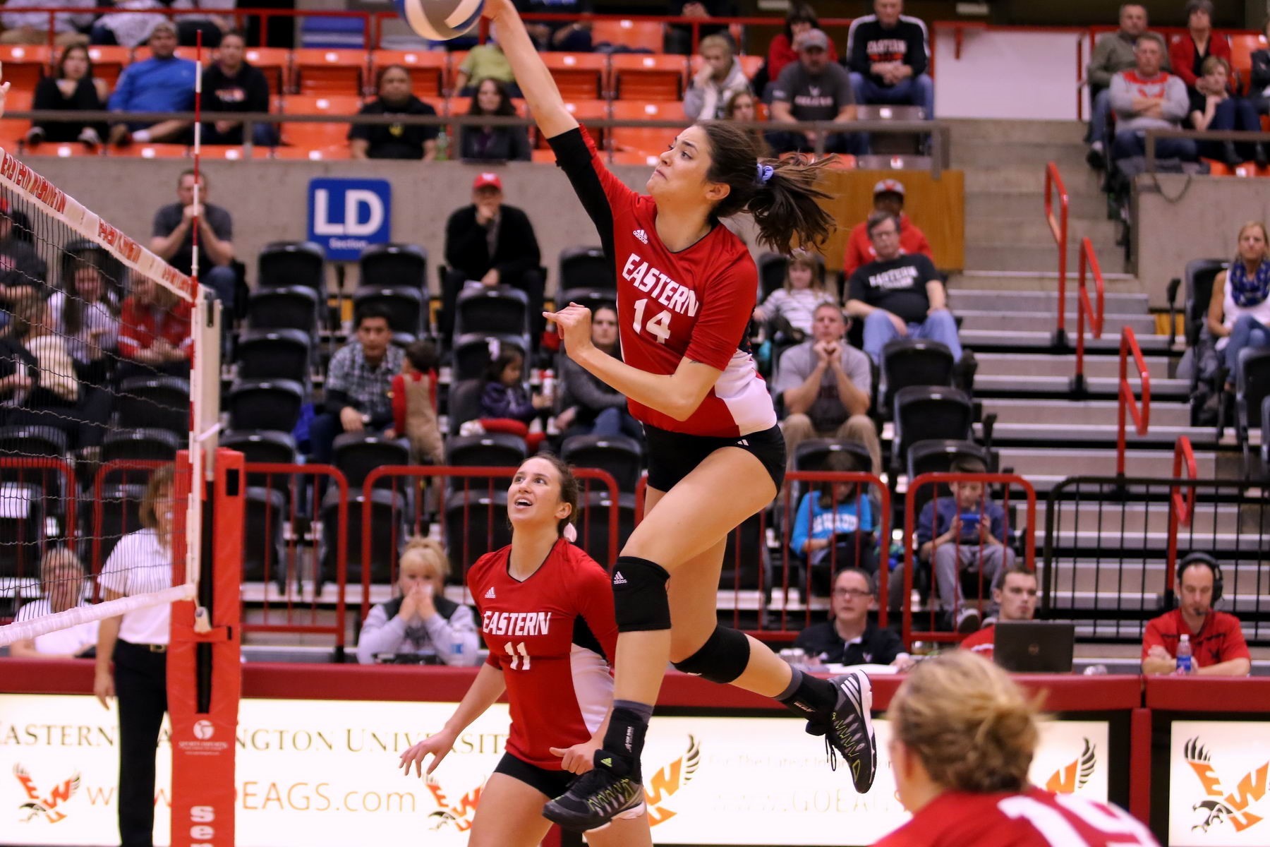Chloe Weber - 2017 - Women's Volleyball - Eastern Washington University ...