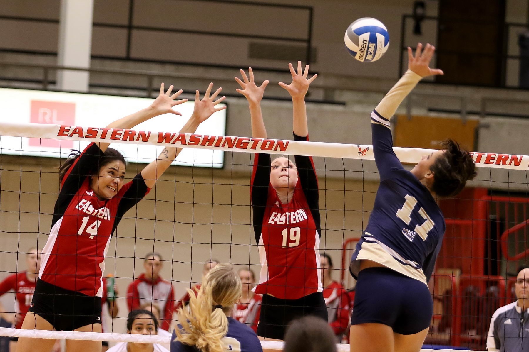 Chloe Weber - 2017 - Women's Volleyball - Eastern Washington University ...