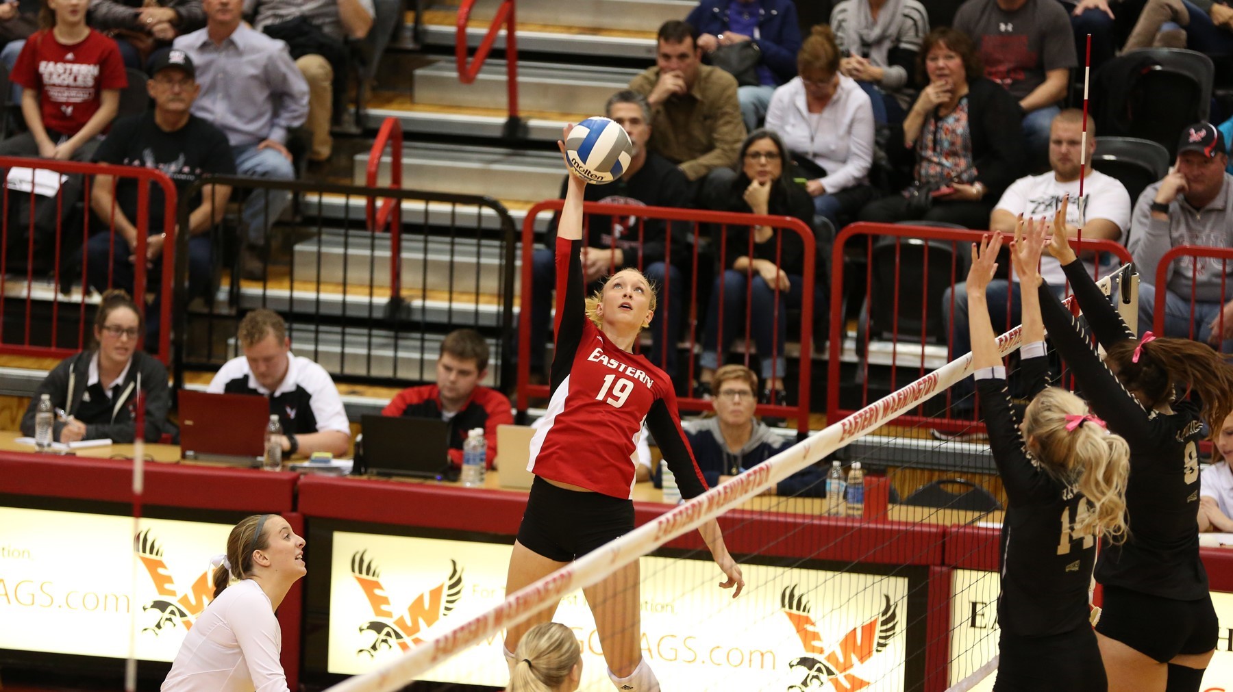 Ashley Seiler - 2017 - Women's Volleyball - Eastern Washington ...