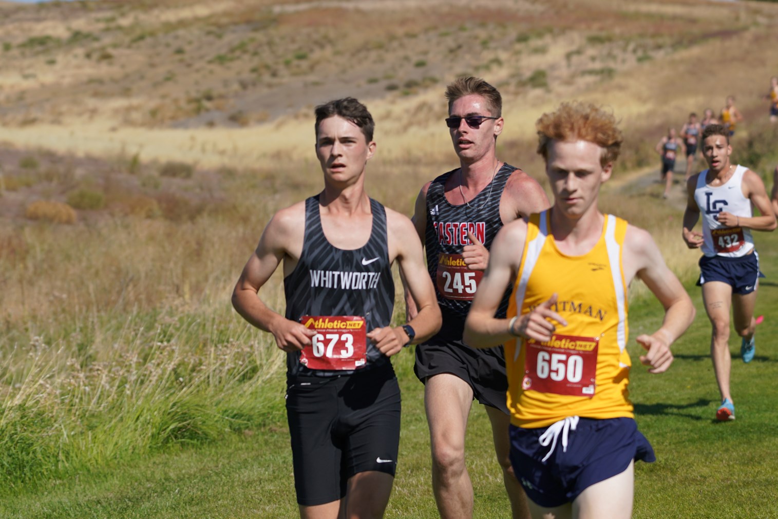 Alec Kness - 2023 - Cross Country - Eastern Washington University Athletics