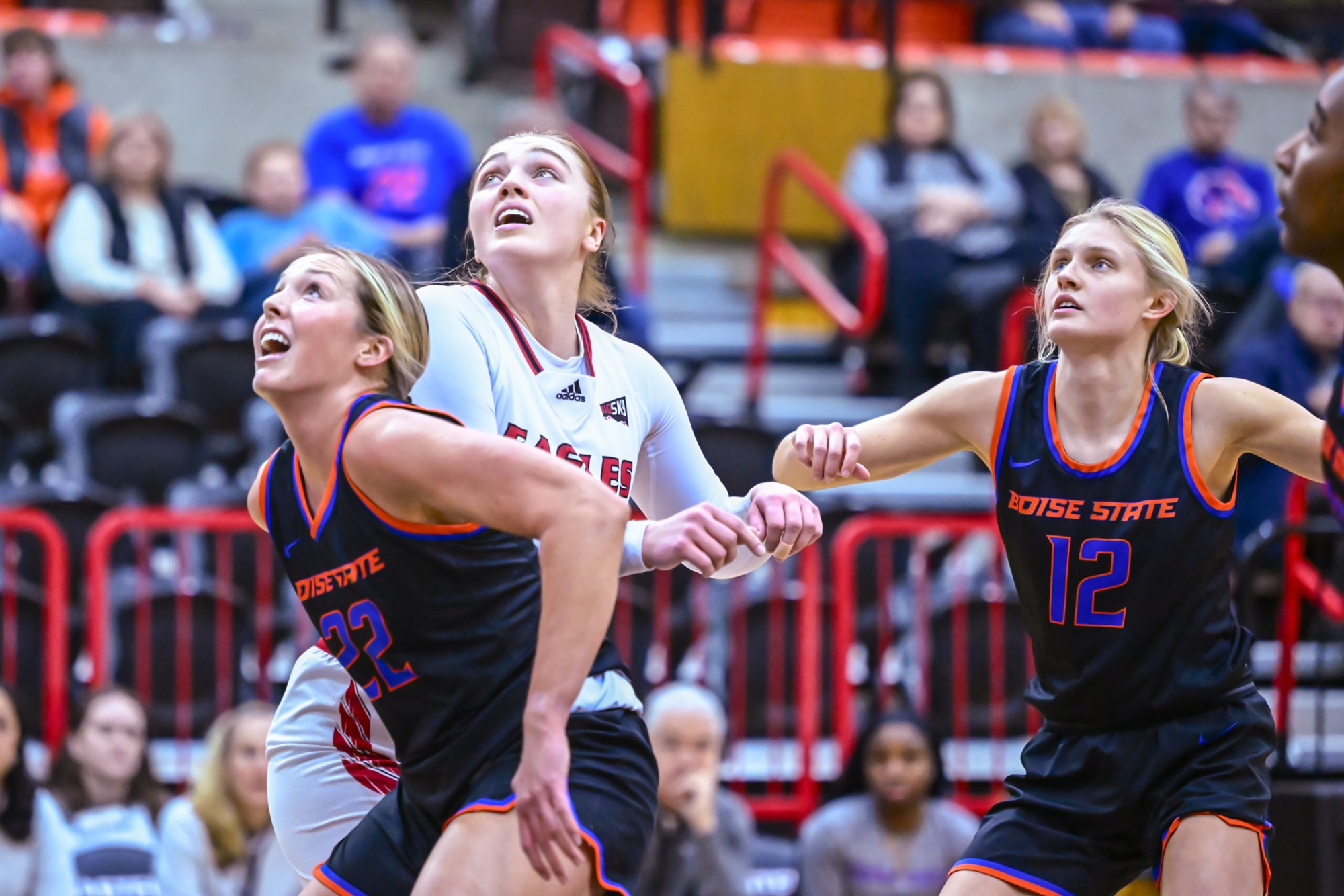 Milly Knowles - 2023-24 - Women's Basketball - Eastern Washington ...