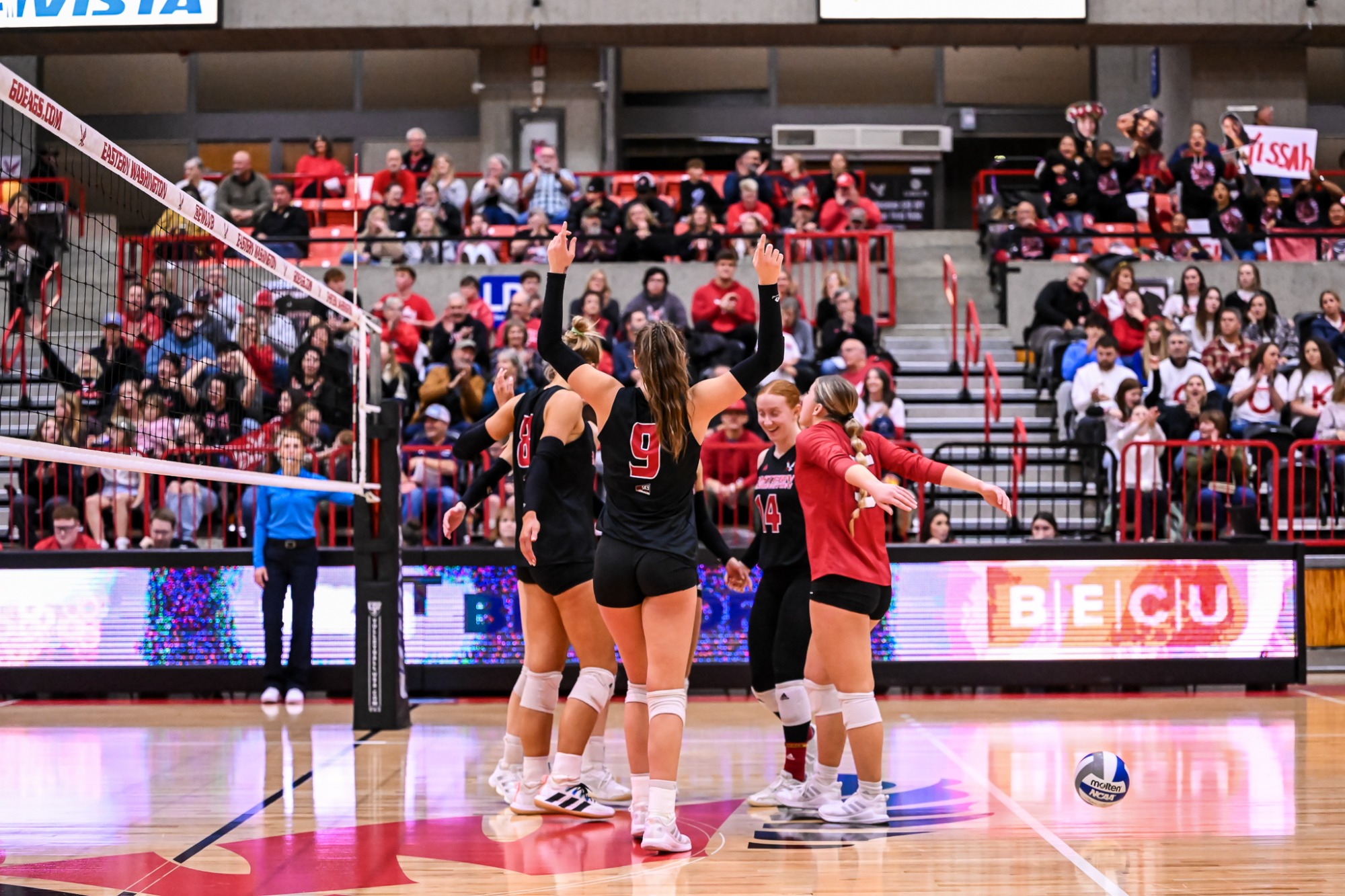 Eagles add eight for the 2025 season - Eastern Washington University ...