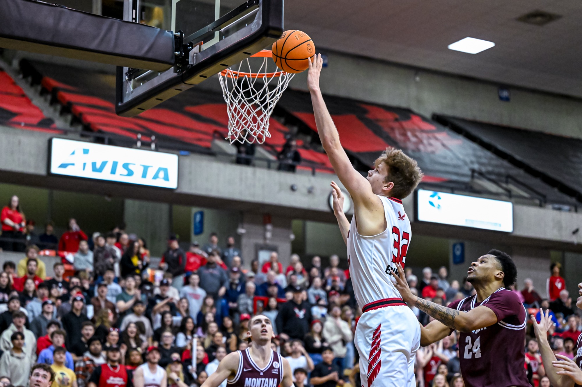 Dane Erikstrup - 2023-24 - Men's Basketball - Eastern Washington ...