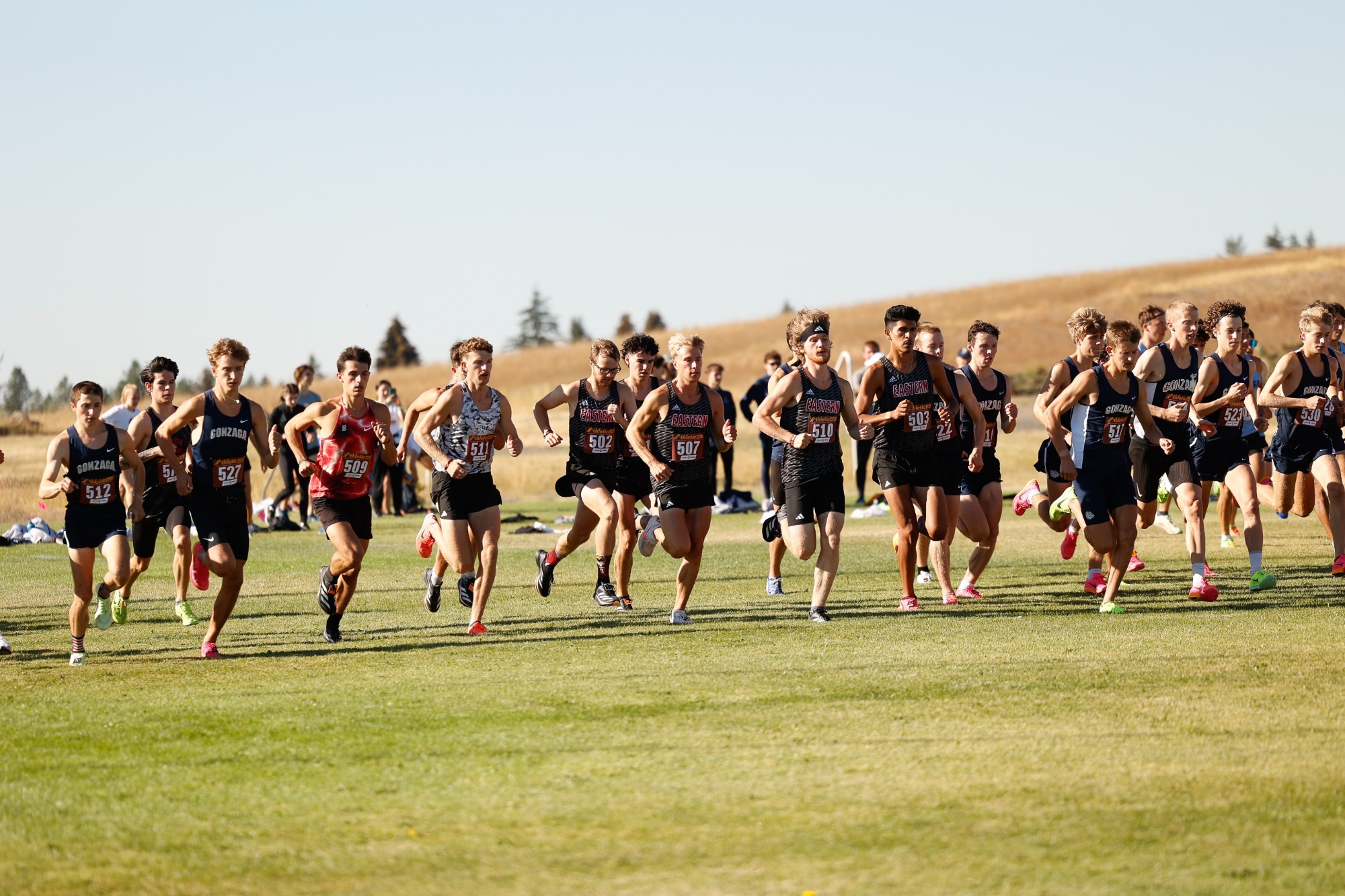 Eagles cap off XC season at NCAA West Regionals - Eastern Washington ...