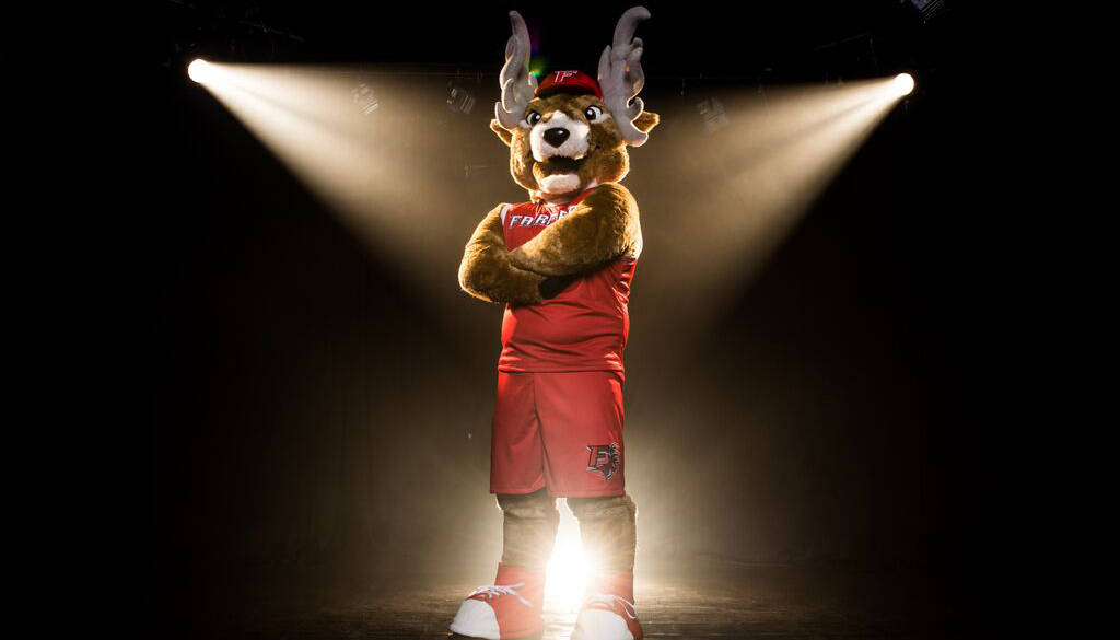 Fairfield University Introduces New Lucas the Stag - Fairfield ...