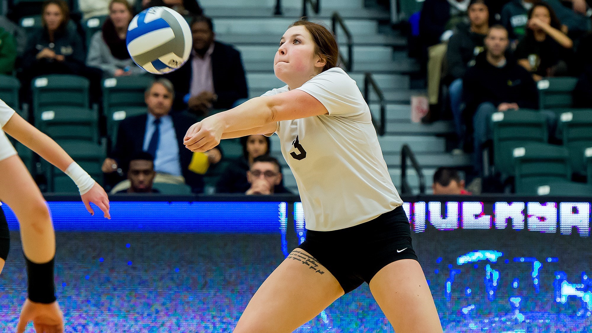 Skyler Day - Women's Volleyball - Fairfield University Athletics