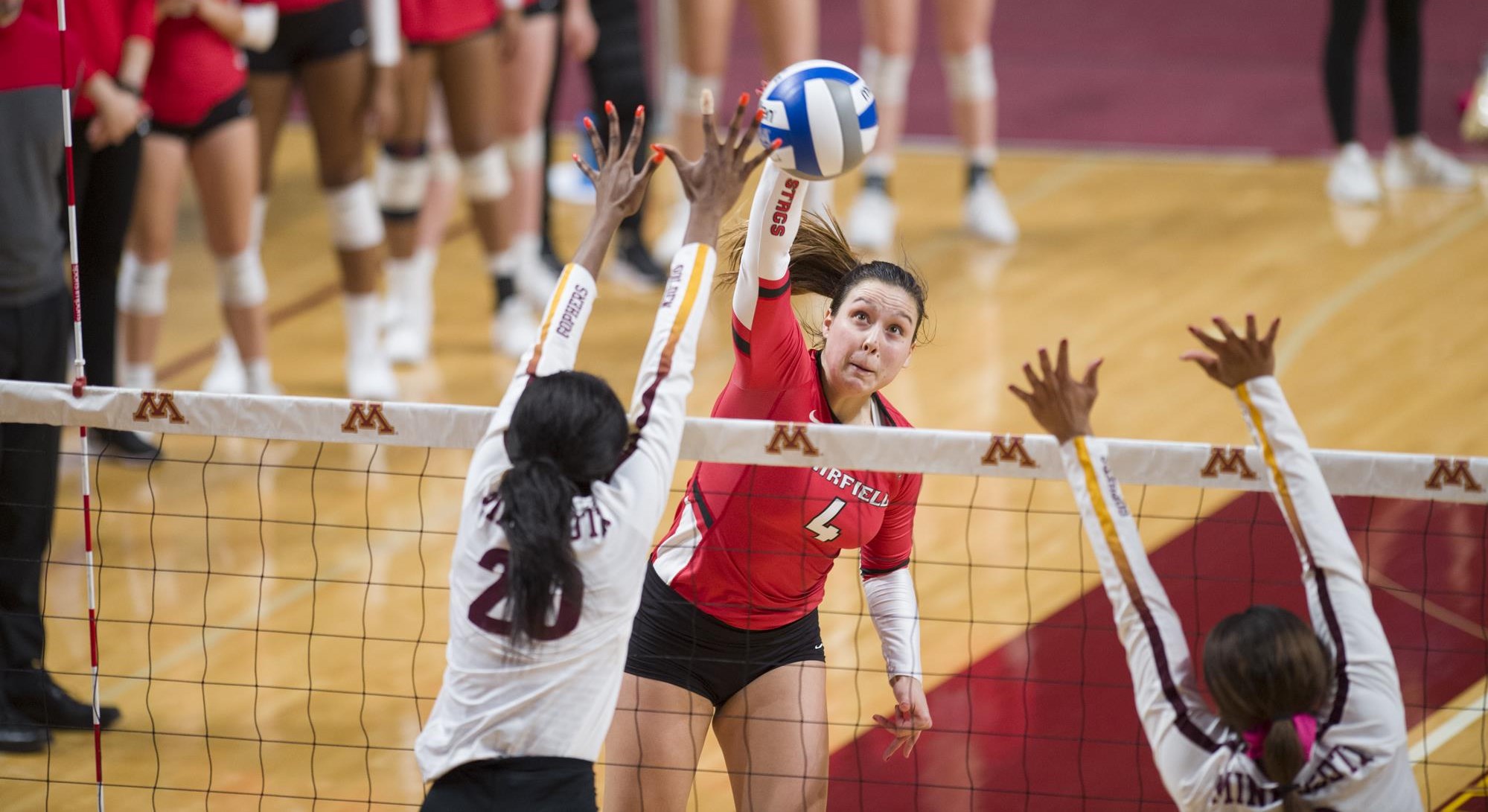 Luci Albertson - Women's Volleyball - Fairfield University Athletics