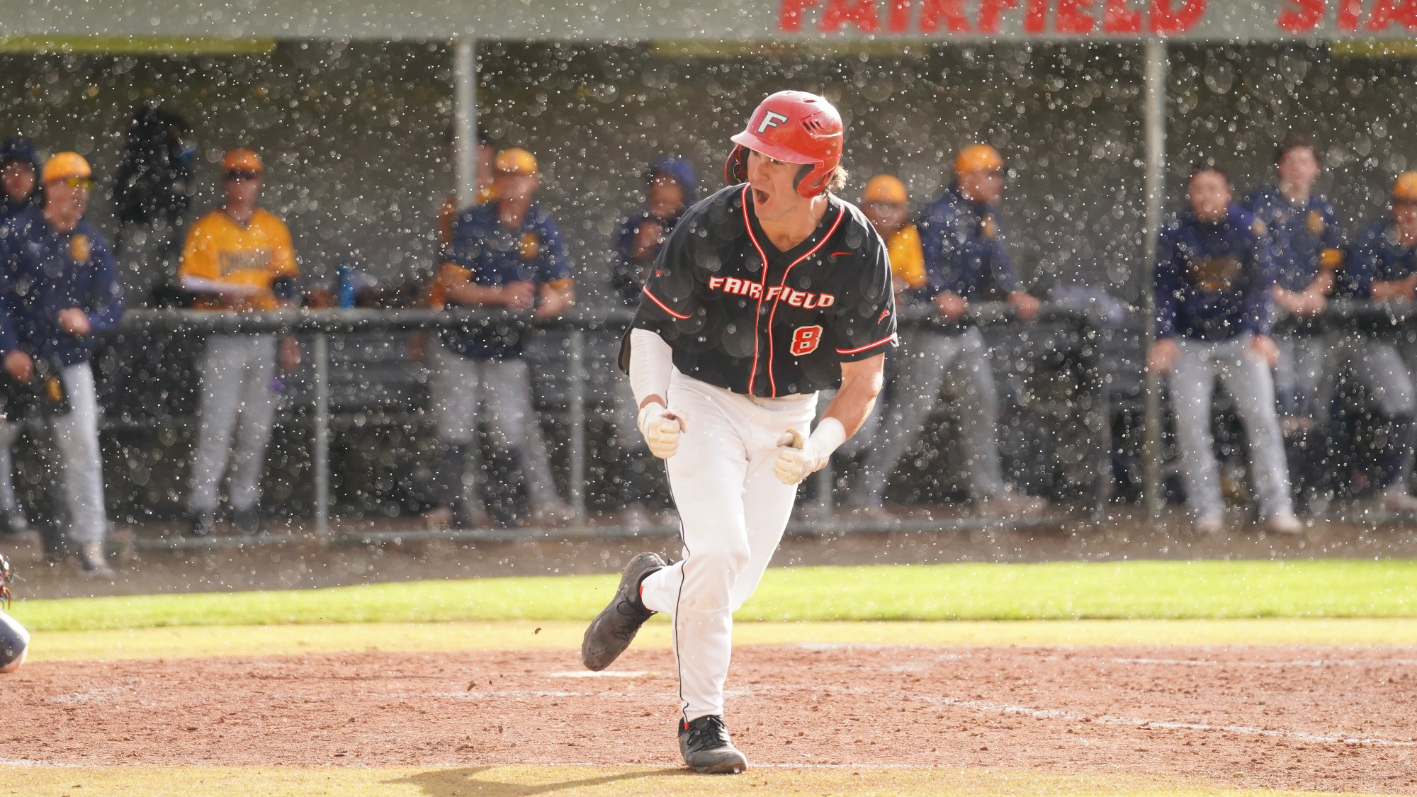 Charlie Pagliarini - Baseball - Fairfield University Athletics