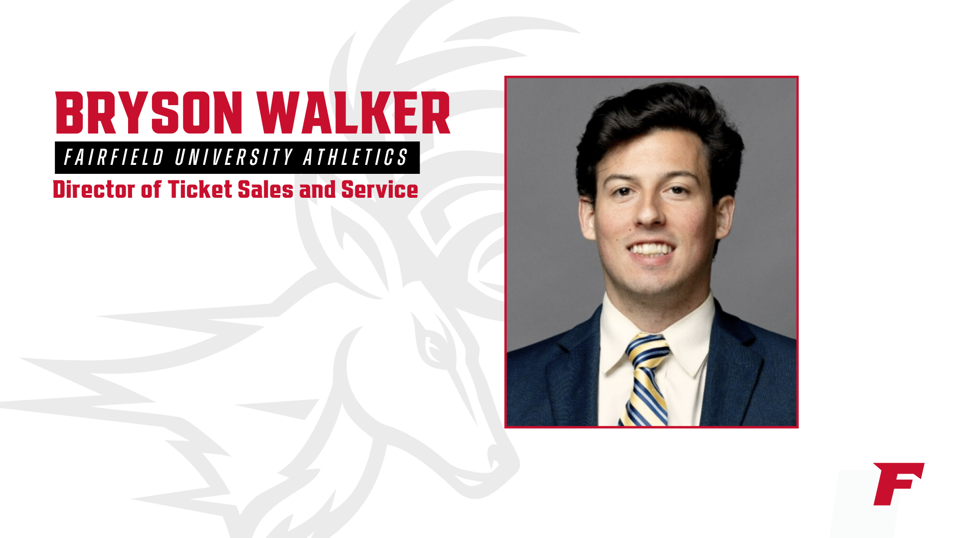 Red Sea Rising Launches to Support Fairfield University Student ...