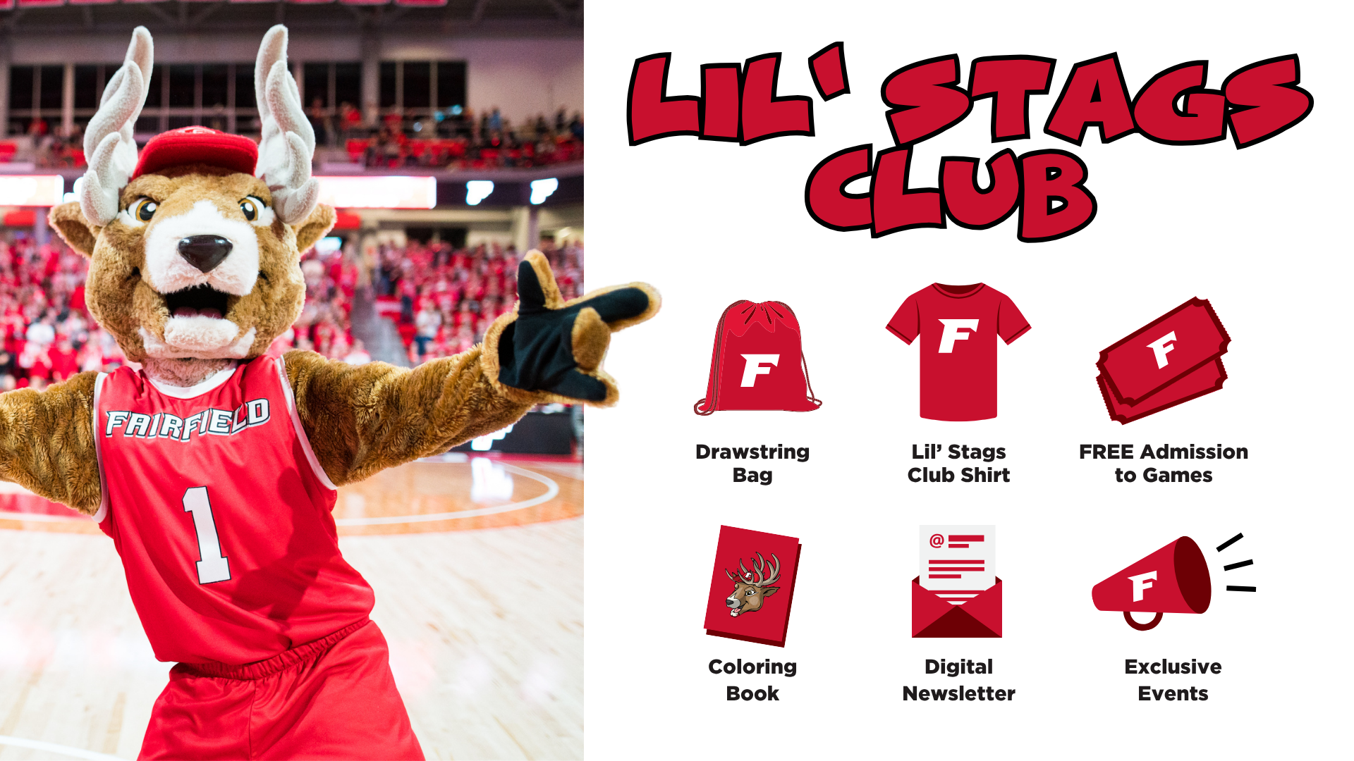 college mascot coloring book