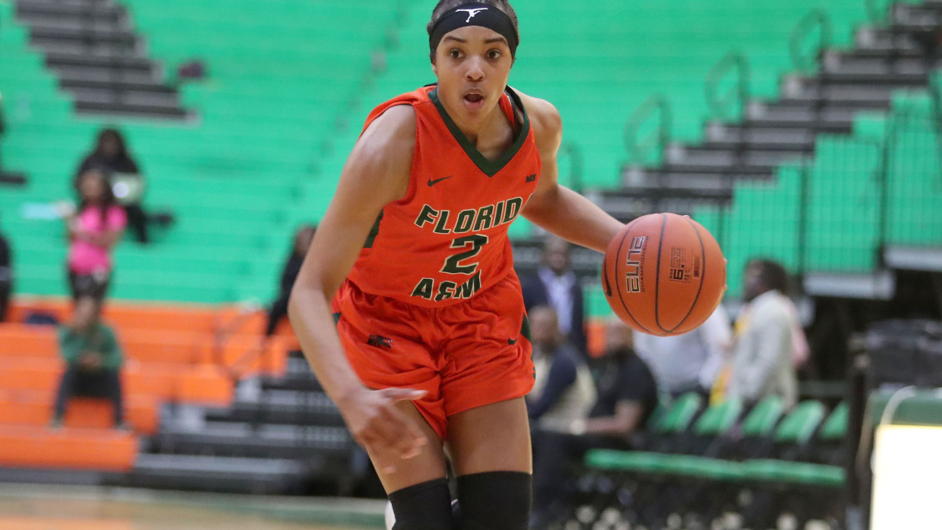 Alaina Rice - 2019-20 - Women's Basketball - Florida A&M