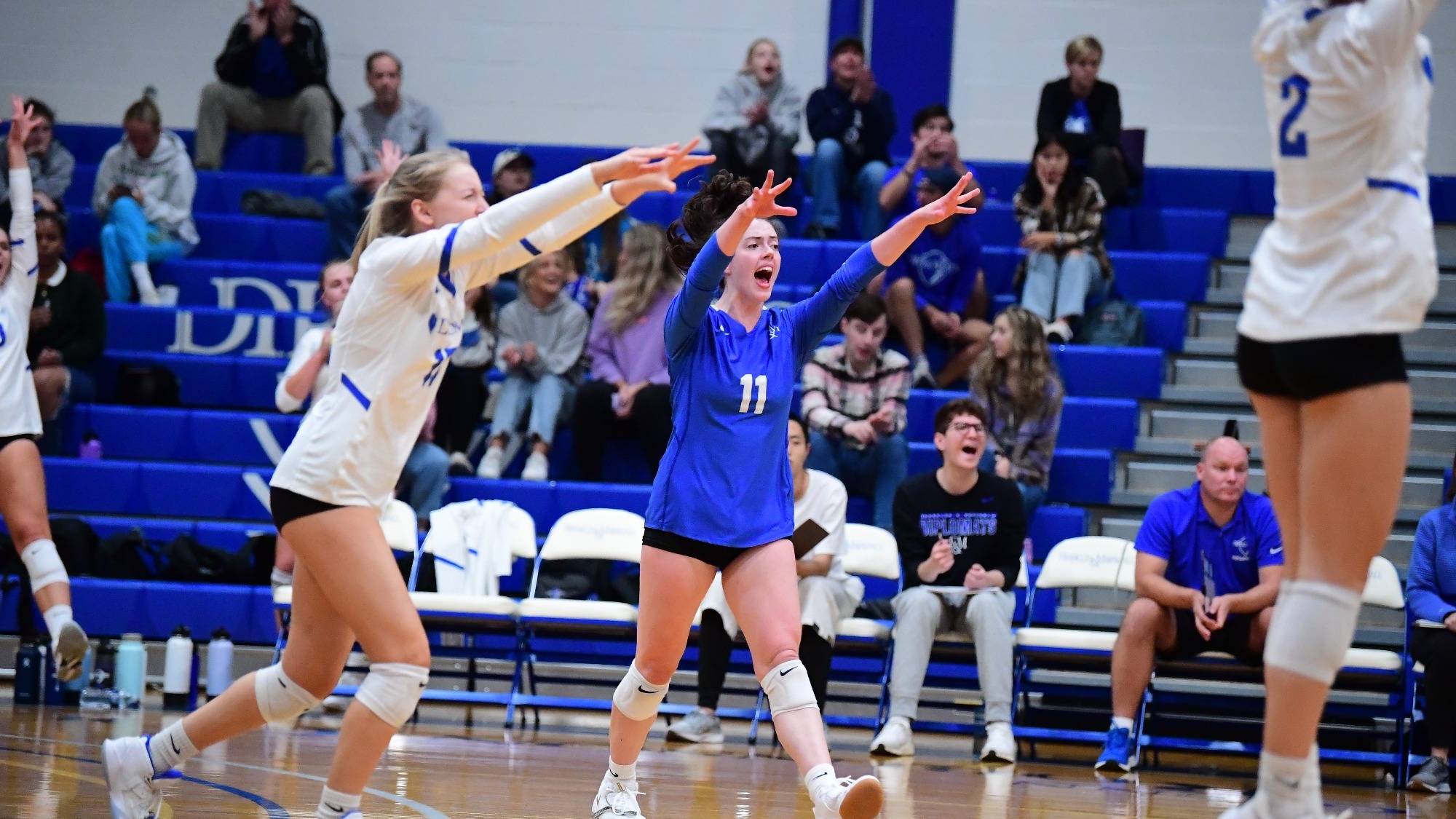 Volleyball Wins in Regular Season Home Finale - Franklin & Marshall College