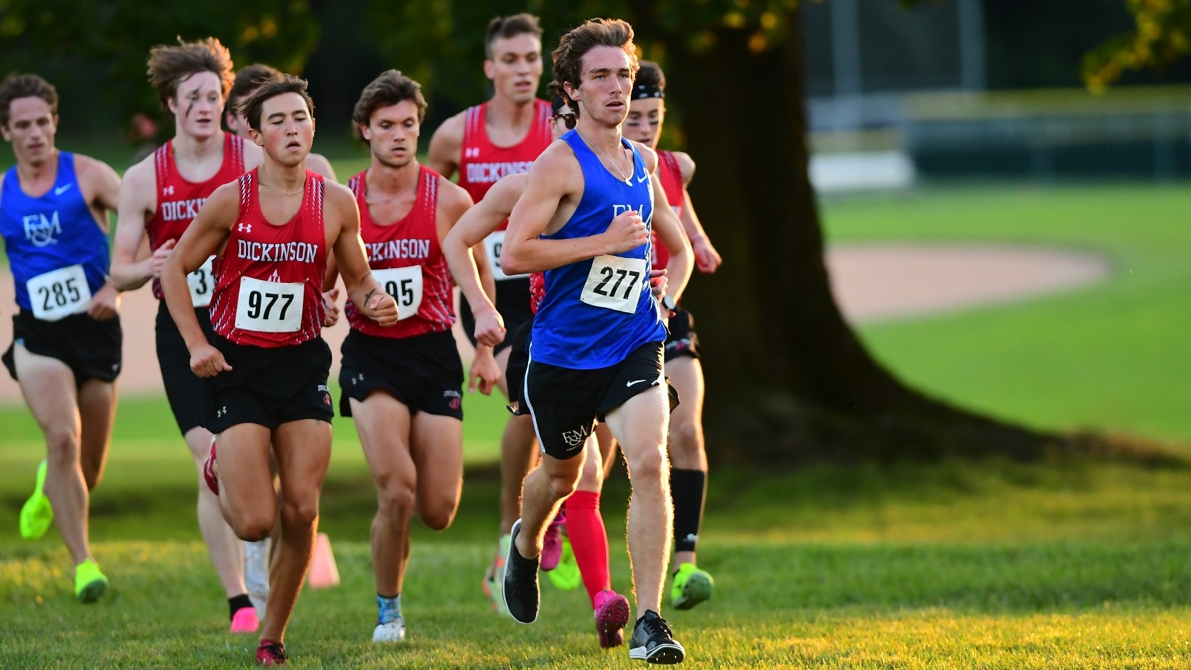 Alfonso Knoll - 2023 - Men's Cross Country - Franklin & Marshall College