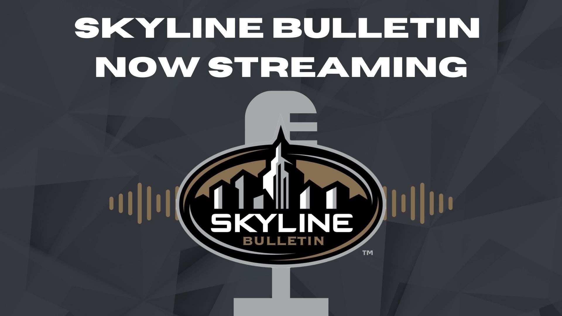 Skyline Conference Launches 'Skyline Bulletin' Podcast - Farmingdale ...