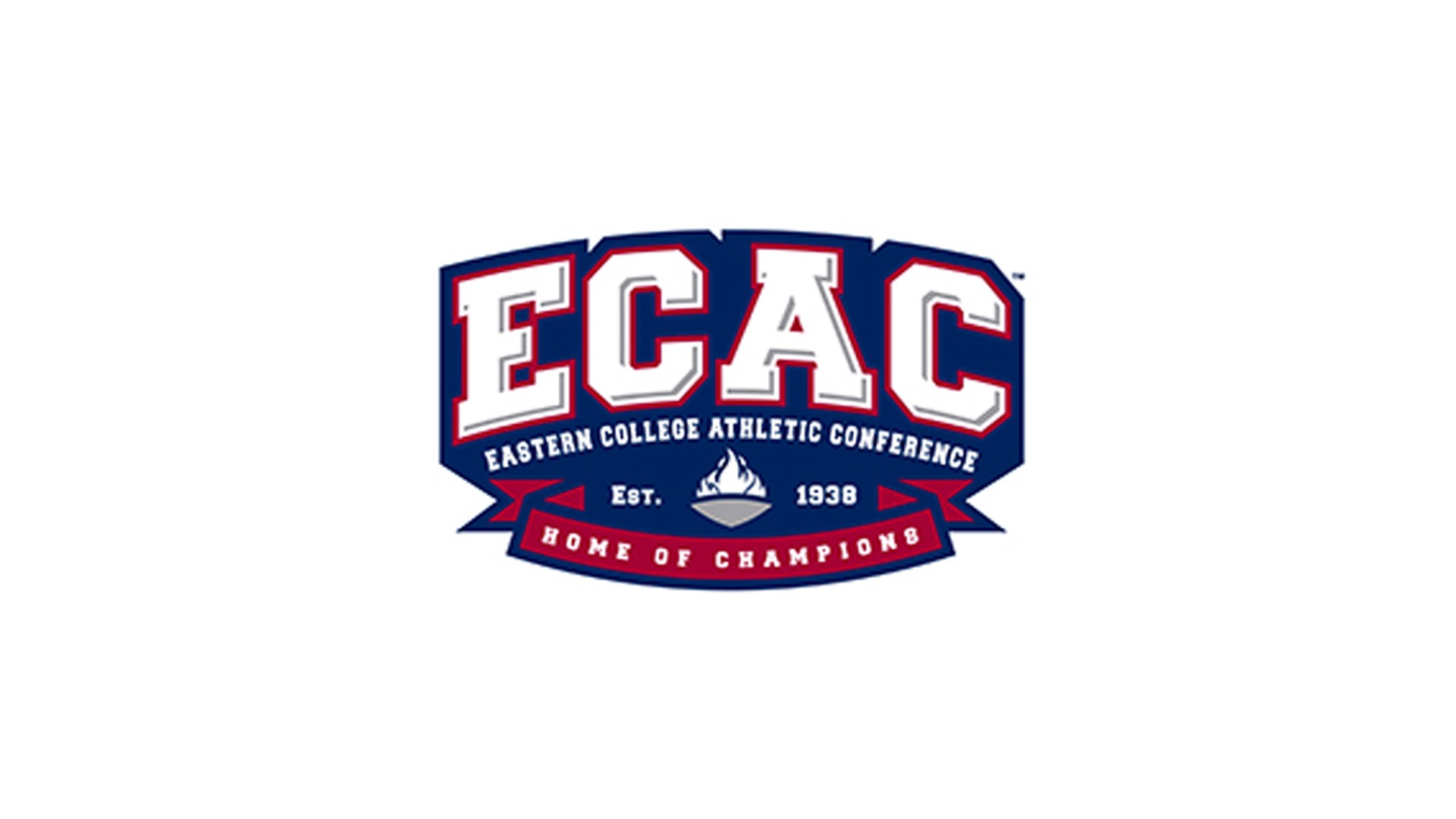 Men's Soccer Quartet Earns All-ECAC Mention - Farmingdale State College