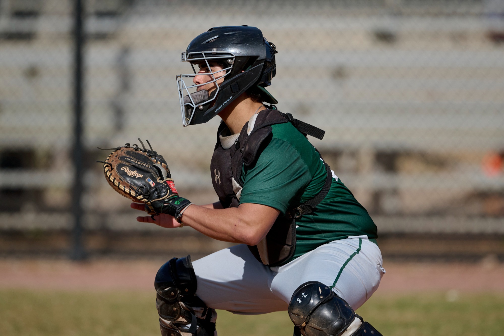 Ayden Pitt - 2024 - Baseball - Farmingdale State College