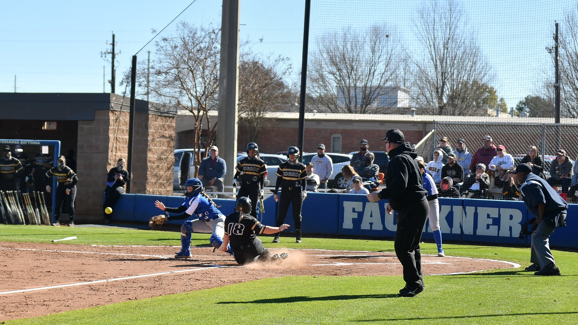 Colby Adams - 2023 - Softball - Faulkner University