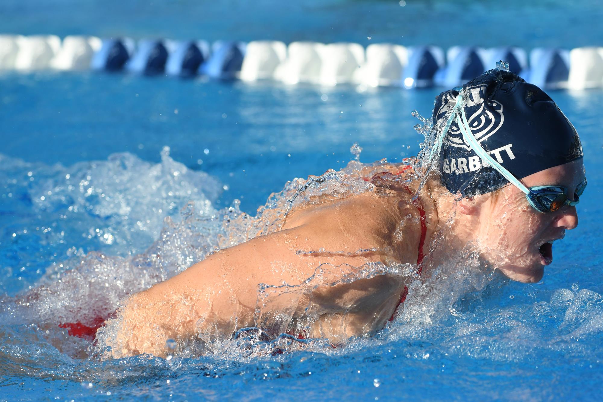 Swim and Dive Concludes Day 2 of Patriot Invitational - Florida ...