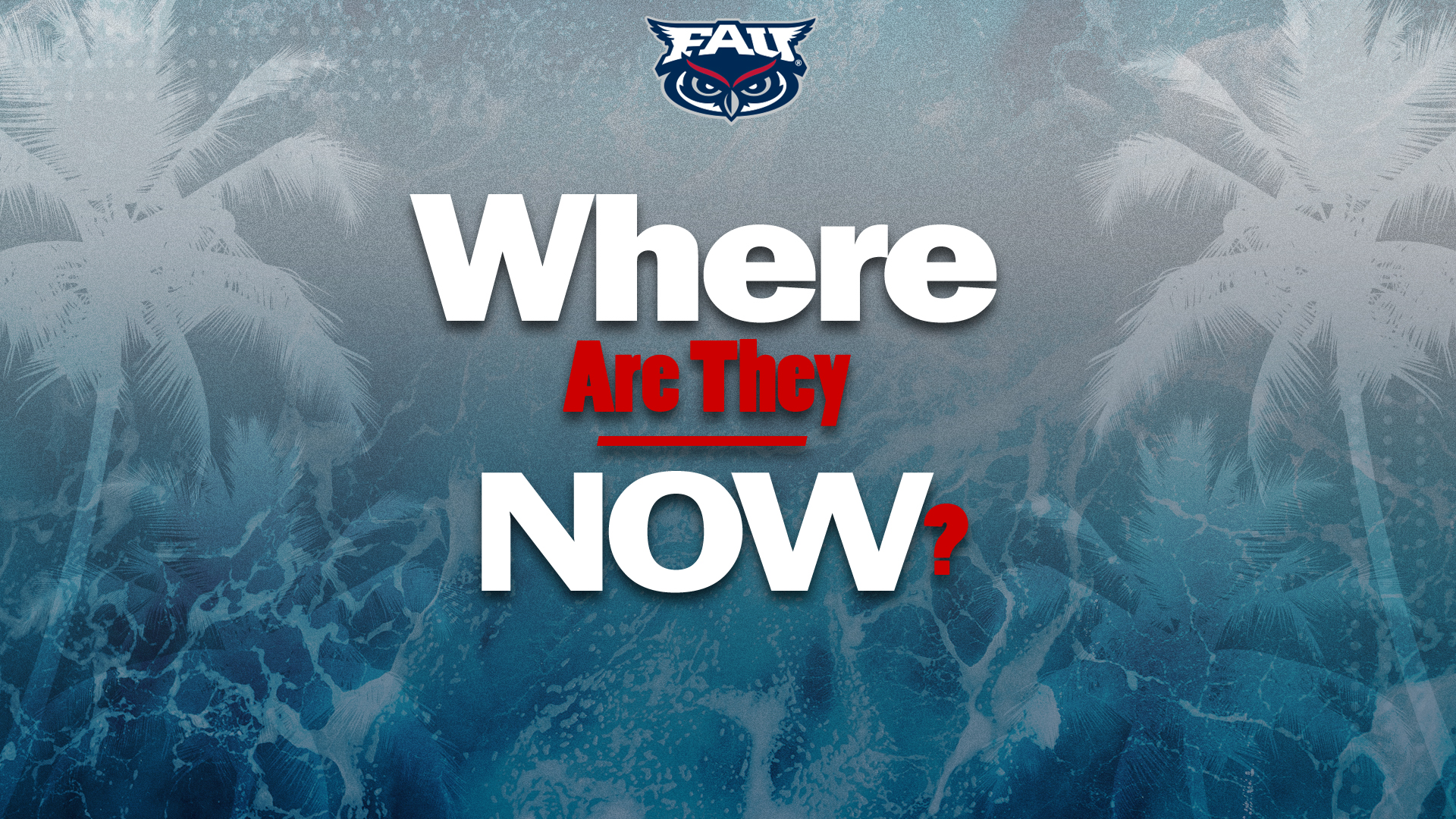 Where Are They Now? - Nick Paris - Florida Atlantic University Athletics