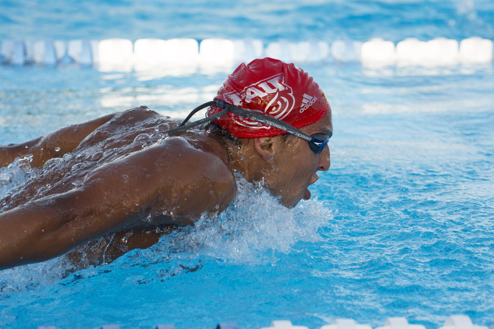 Men’s and Women’s Swimming & Diving Sit in Second After Day 2 of ...