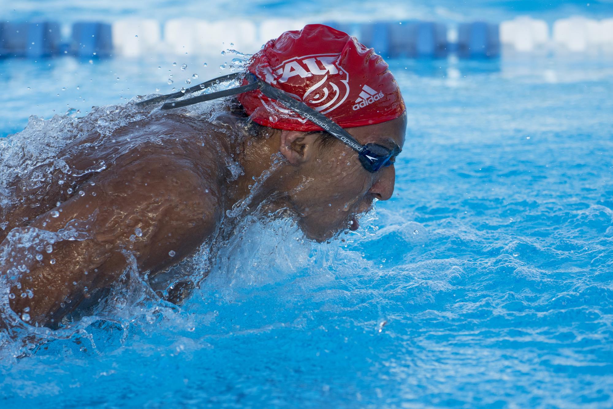 Men’s Swimming & Diving Finishes Third at CCSA Championships - Florida ...