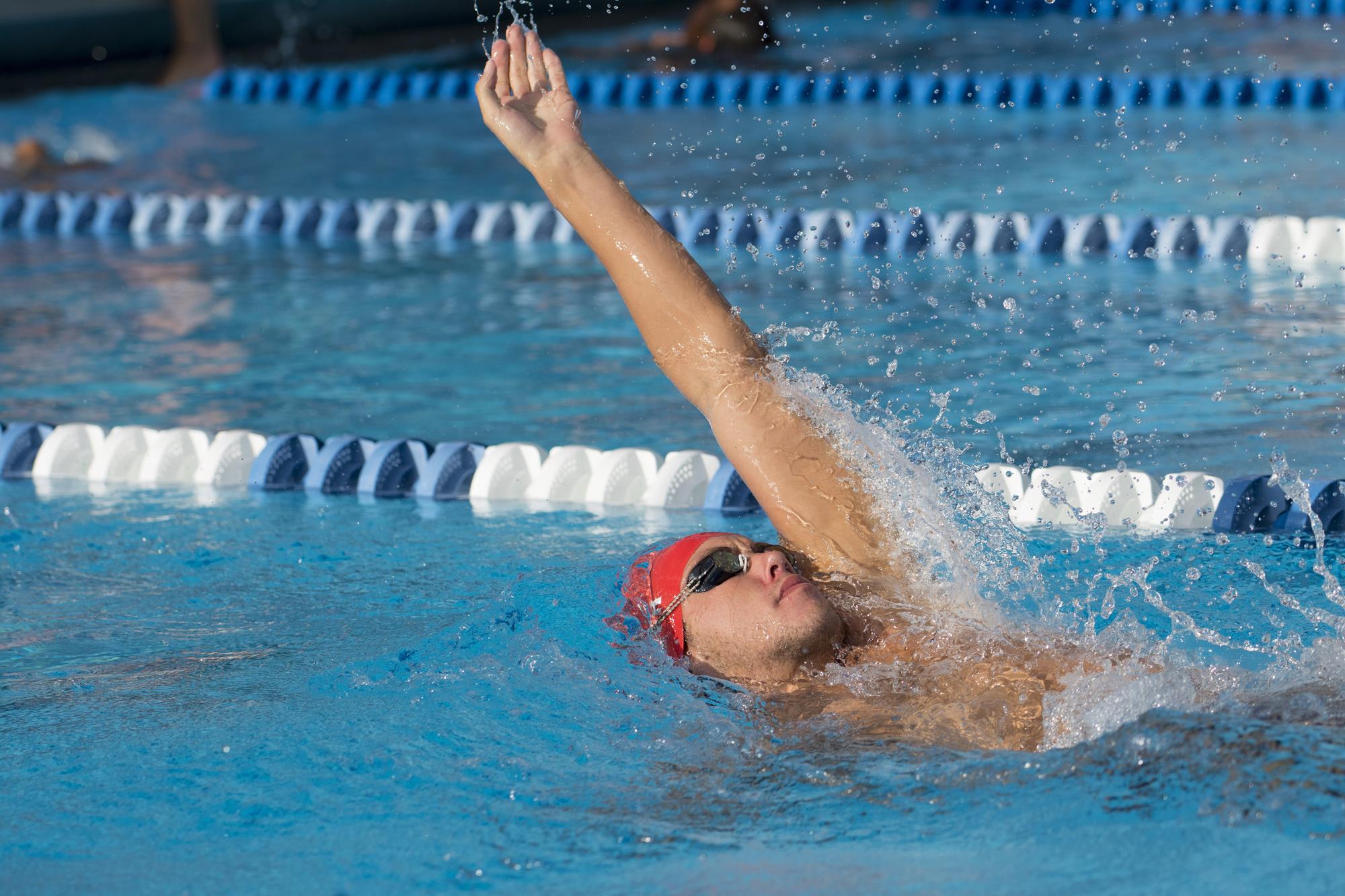 Swimming & Diving to Host Senior Day Against SUNY Geneseo - Florida ...