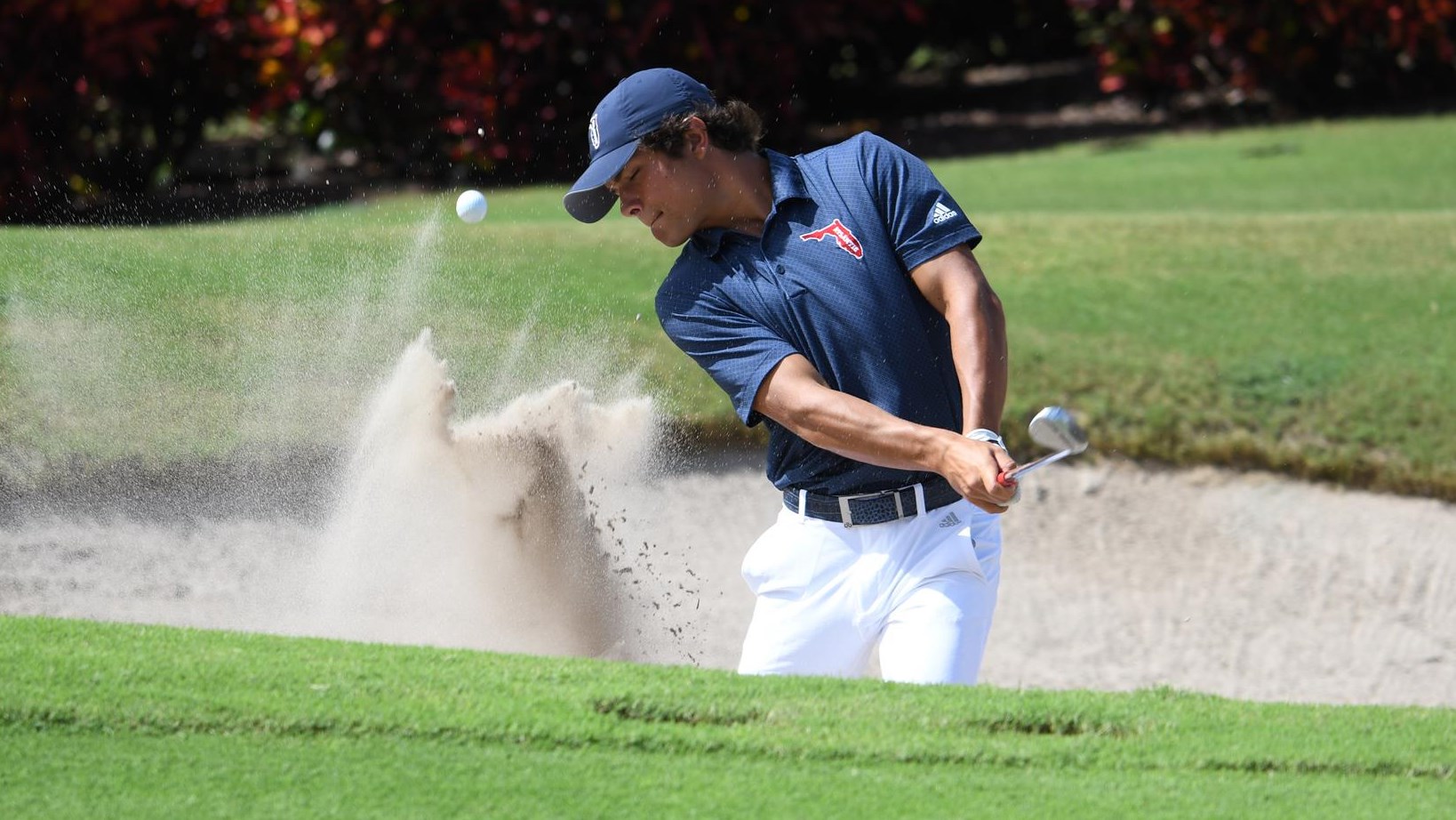 Men's Golf Finish 13th at Wyoming Desert Intercollegiate - Florida ...