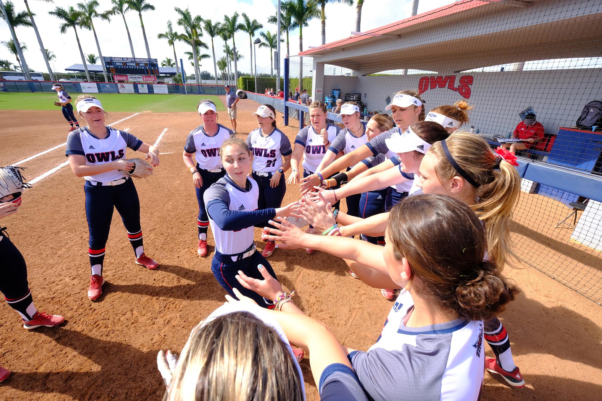 Sami Williams - Softball - Florida Atlantic University Athletics