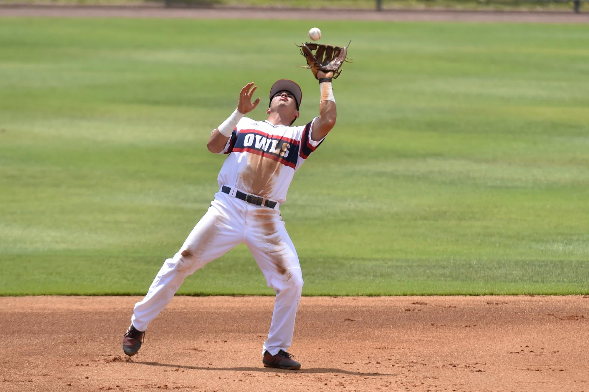 Wilfredo Alvarez - Baseball - Florida Atlantic University Athletics