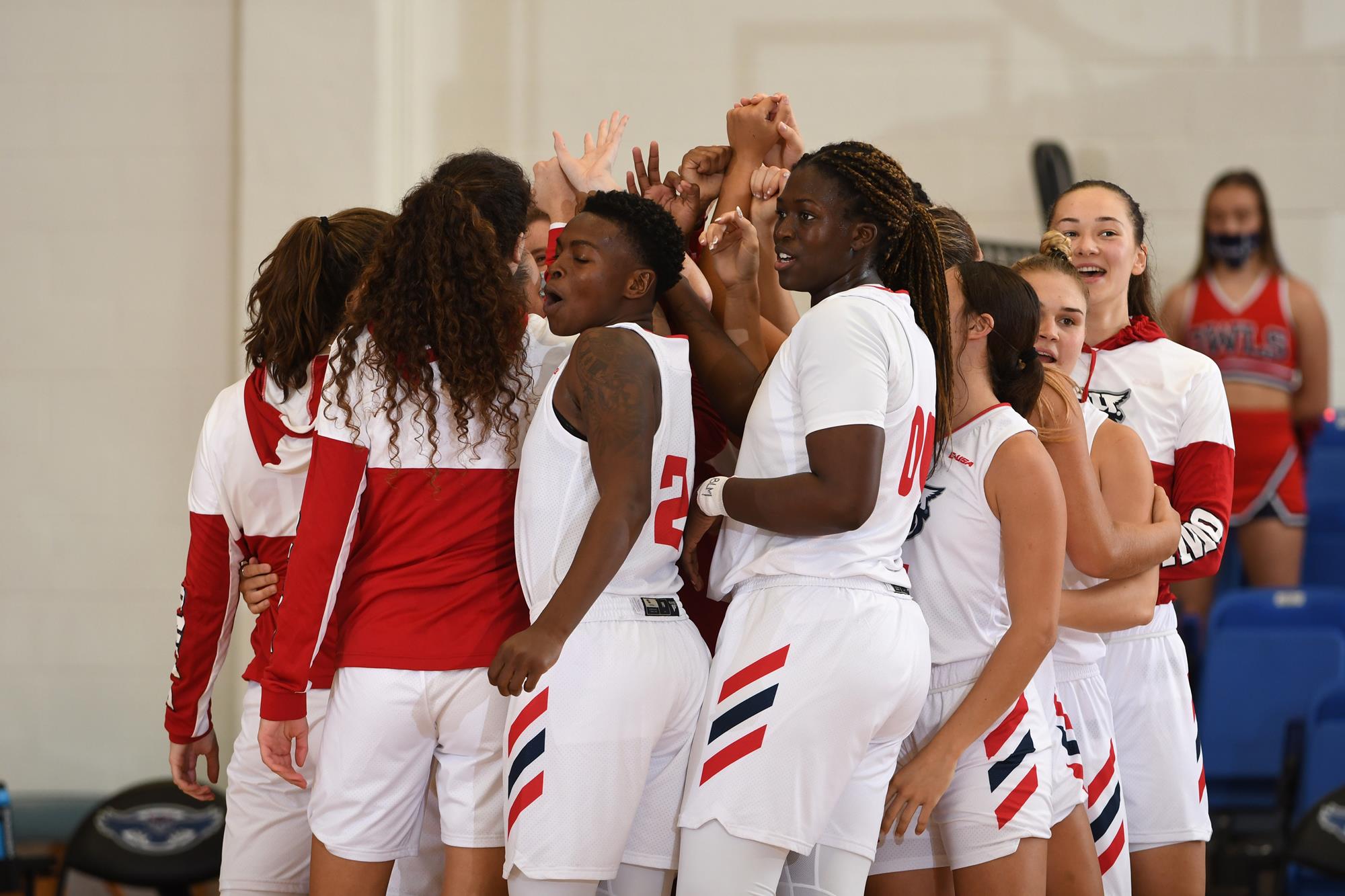 Balanced Effort Elevates Owls Past Ospreys - Florida Atlantic ...