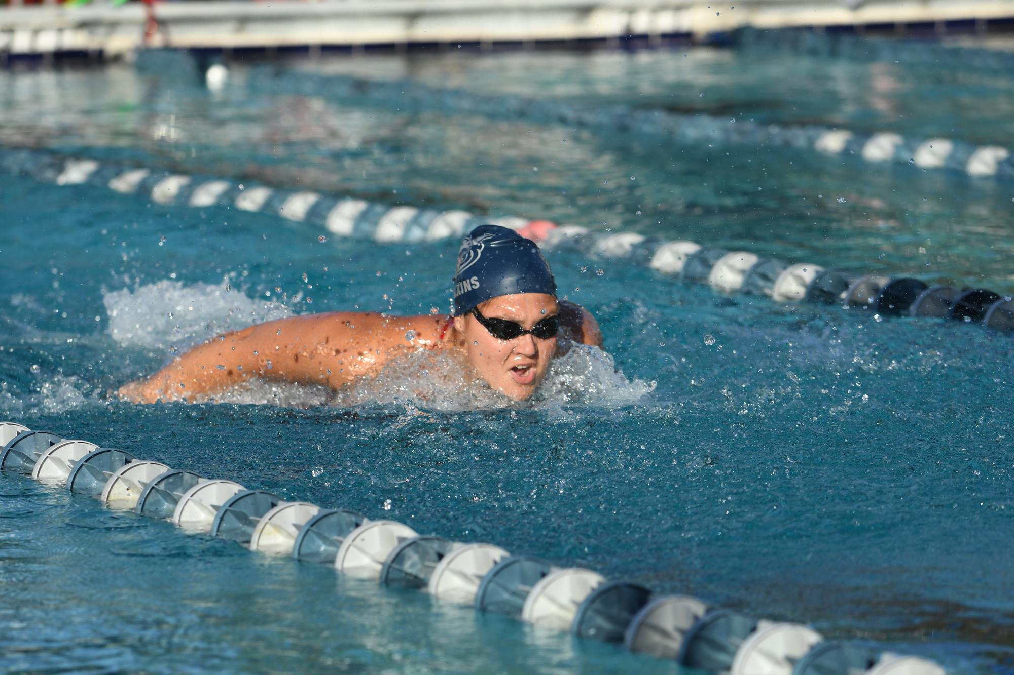 Kara Wilkins - Swimming & Diving - Florida Atlantic University Athletics