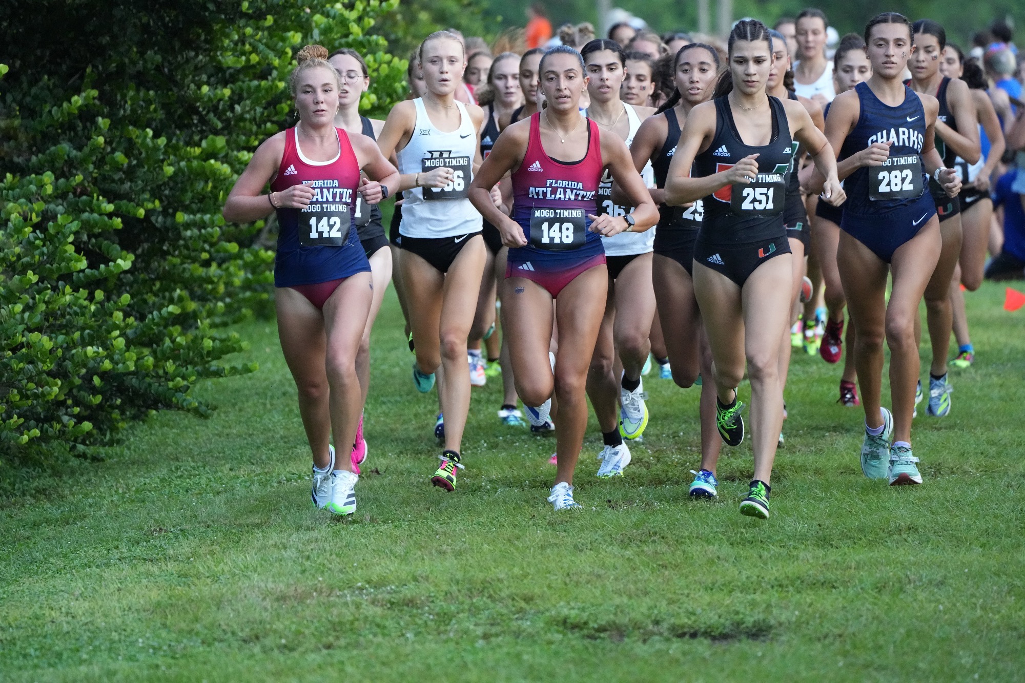 Casey O'Connor - Women's XC/Track & Field - Florida Atlantic University ...