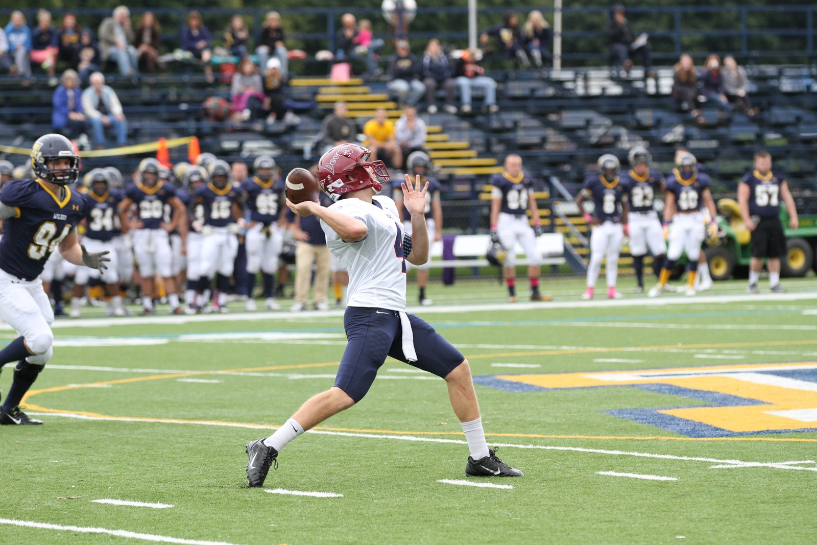 Tyler Maurer - Football - Fairleigh Dickinson University-Florham Campus ...