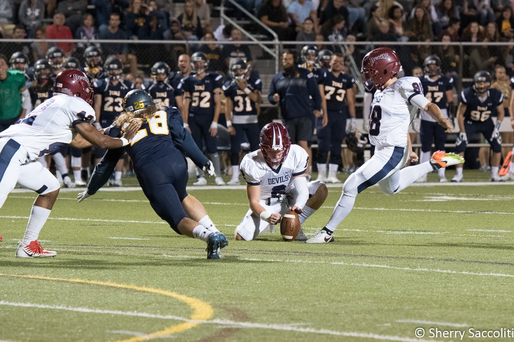 Nick Maciejewski - Football - Fairleigh Dickinson University-Florham ...