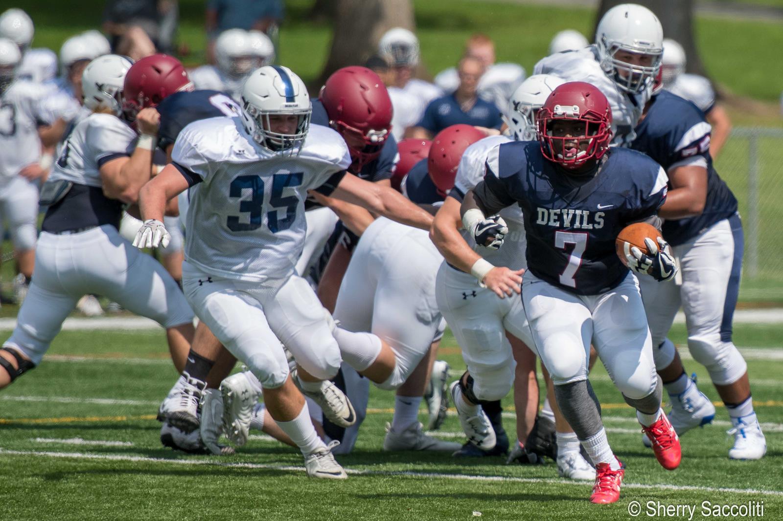Robert Blakely - Football - Fairleigh Dickinson University-Florham ...