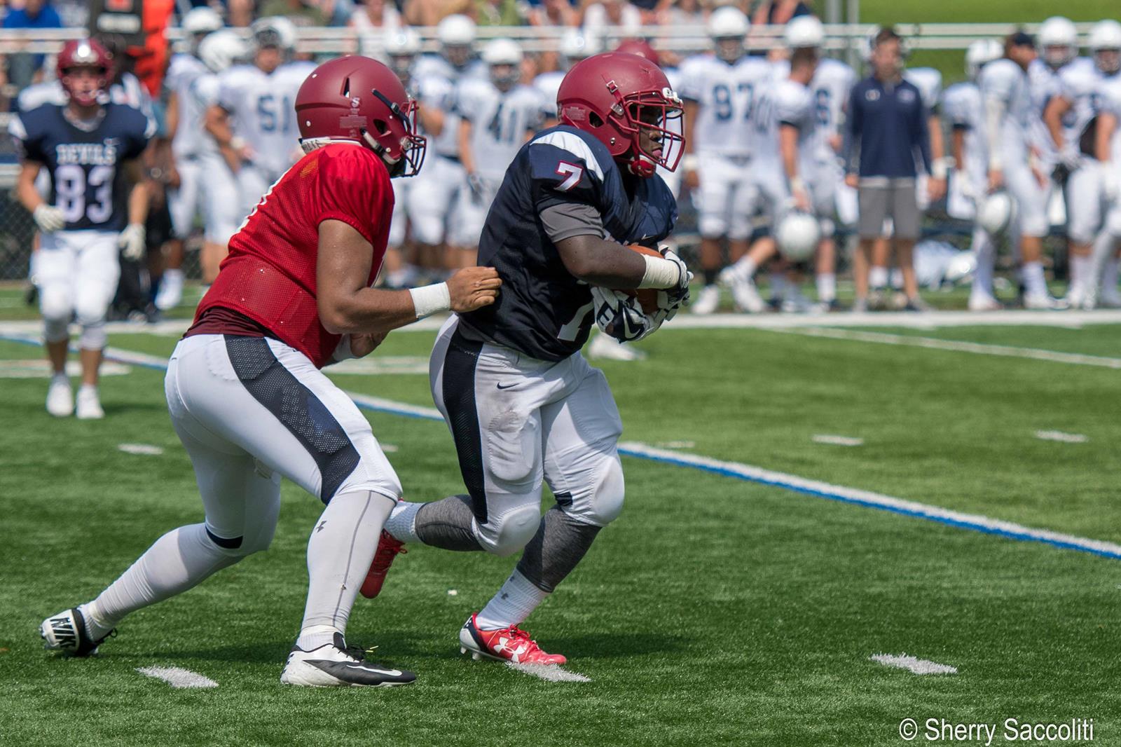 Robert Blakely - Football - Fairleigh Dickinson University-Florham ...