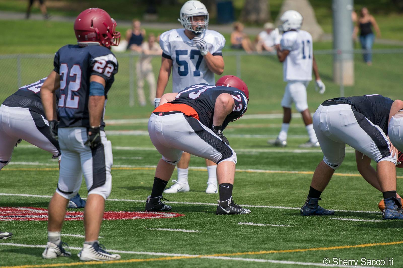 Robert Alleva - Football - Fairleigh Dickinson University-Florham ...